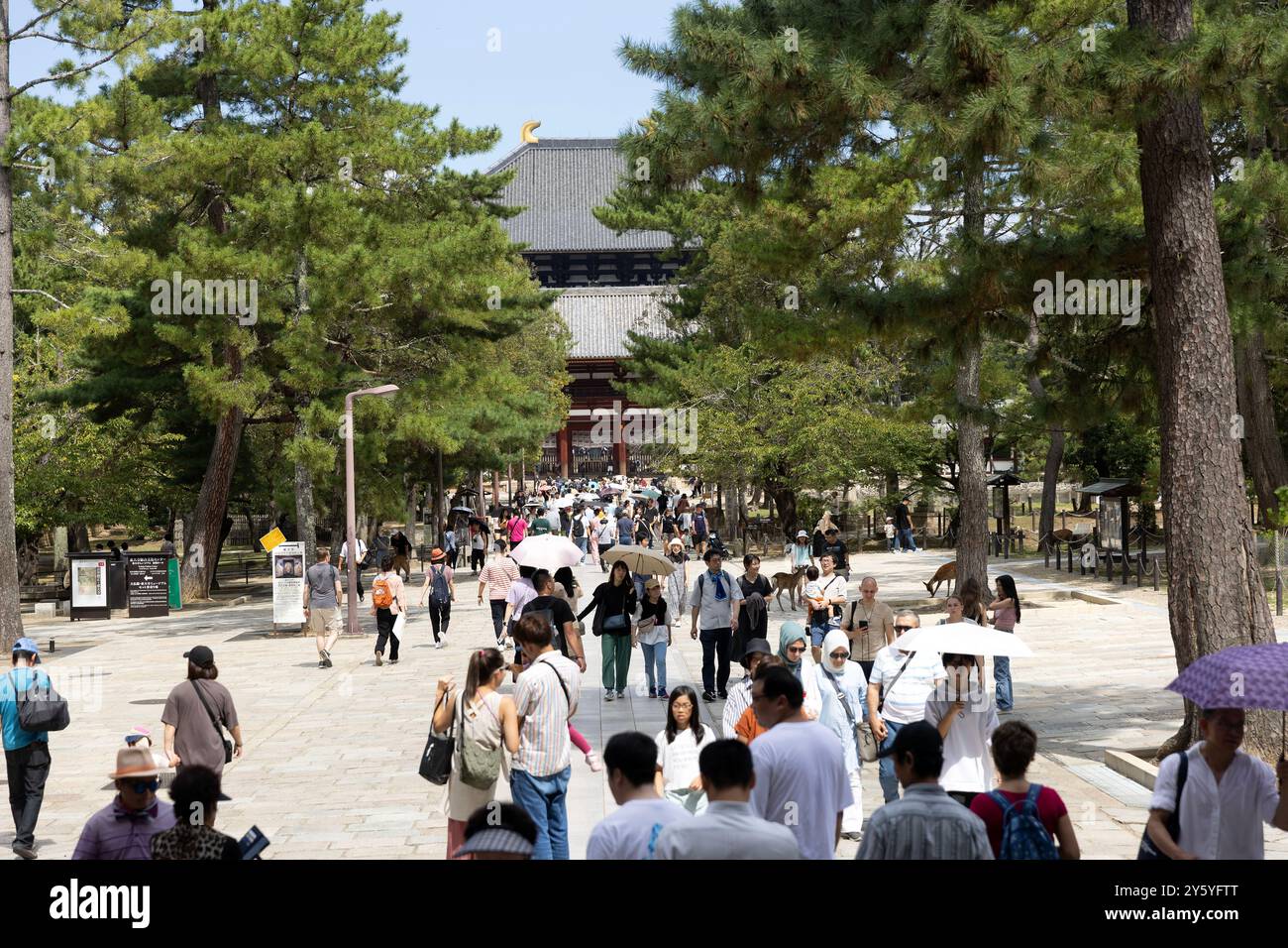 Todaiji temple nara city japan hi-res stock photography and images - Alamy