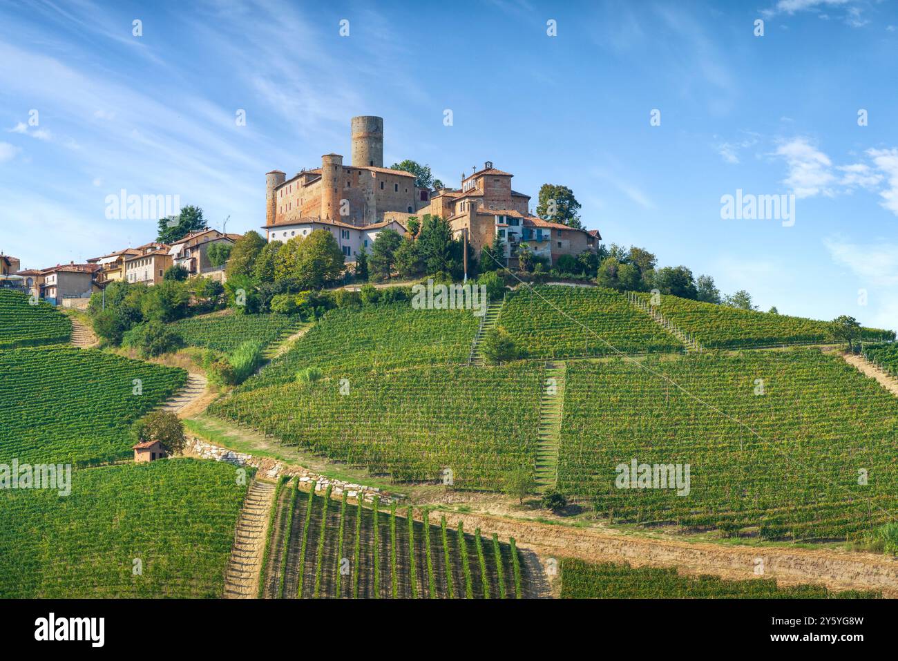 Langhe vineyards landscape and Castiglione Falletto village on the top ...