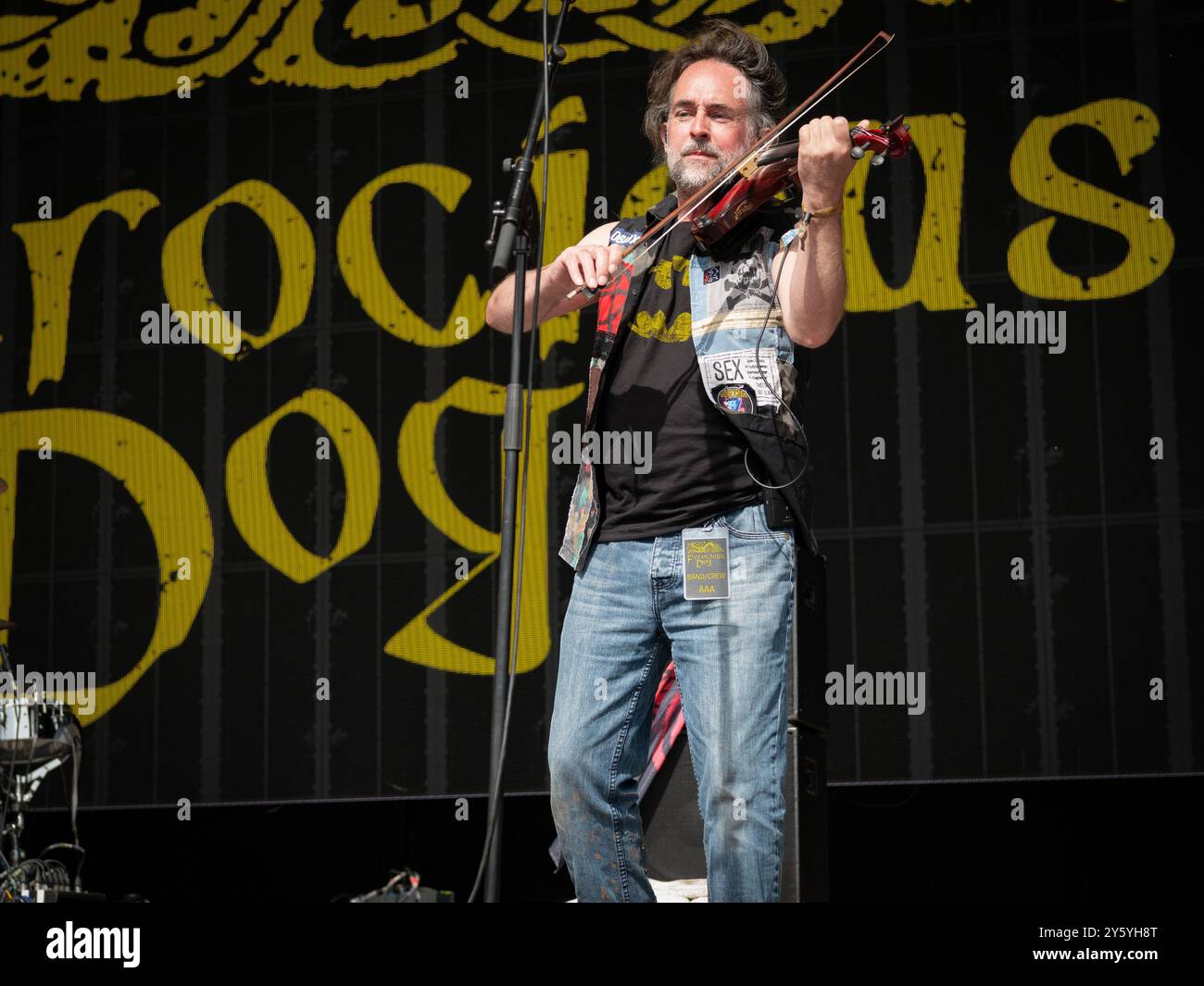 Ferocious dog hi-res stock photography and images - Alamy