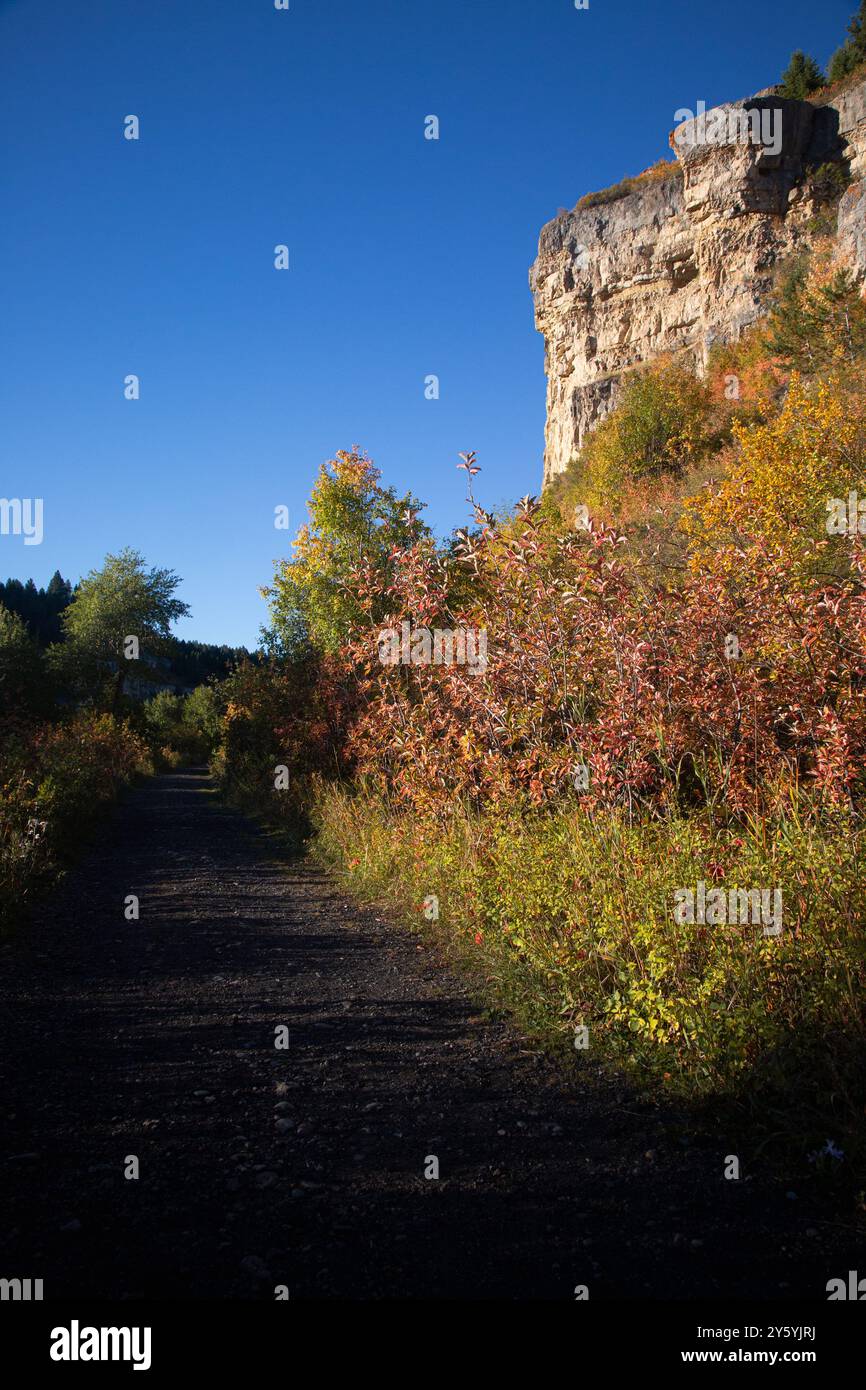 Trail through Belt Creek Canyon’s rugged limestone cliffs and bright ...