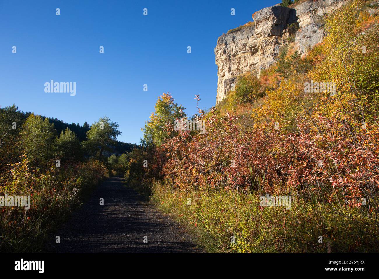 Trail through Belt Creek Canyon’s rugged limestone cliffs and bright ...