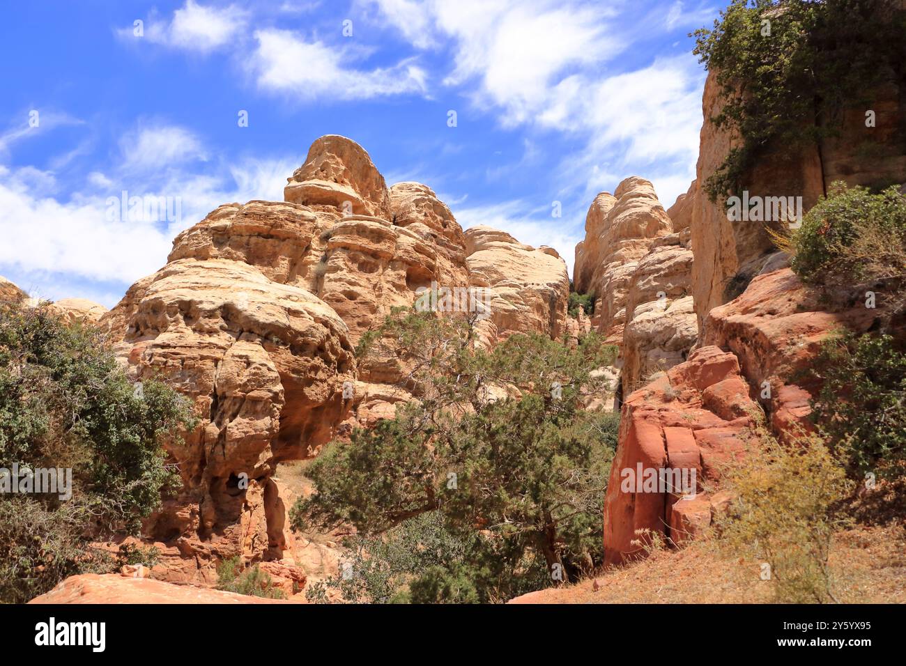 Typical landscape and rock forms in the Dana Biosphere Nature Reserve ...