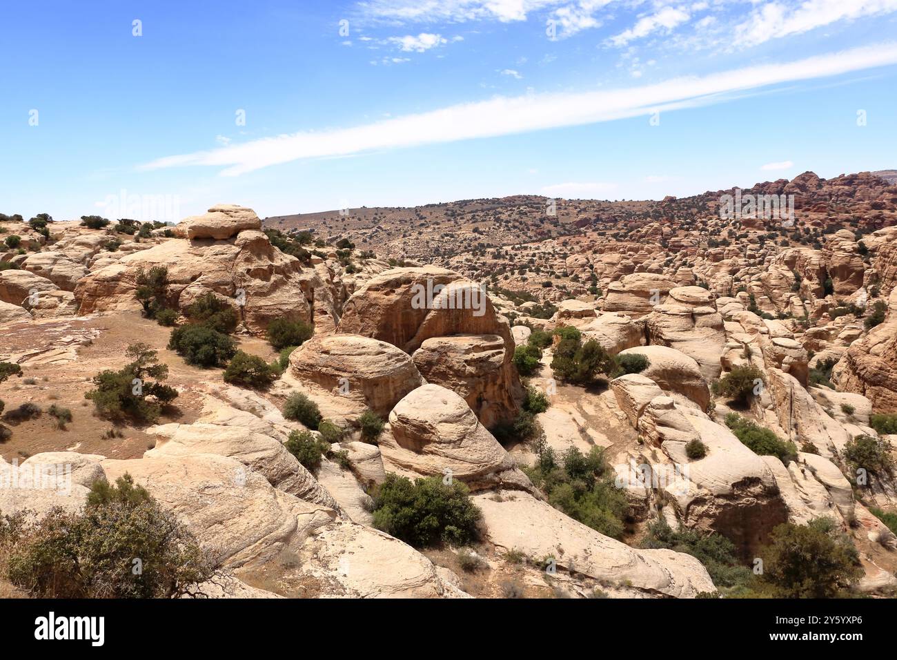view of the landscape of Dana Biosphere Nature Reserve National Park ...