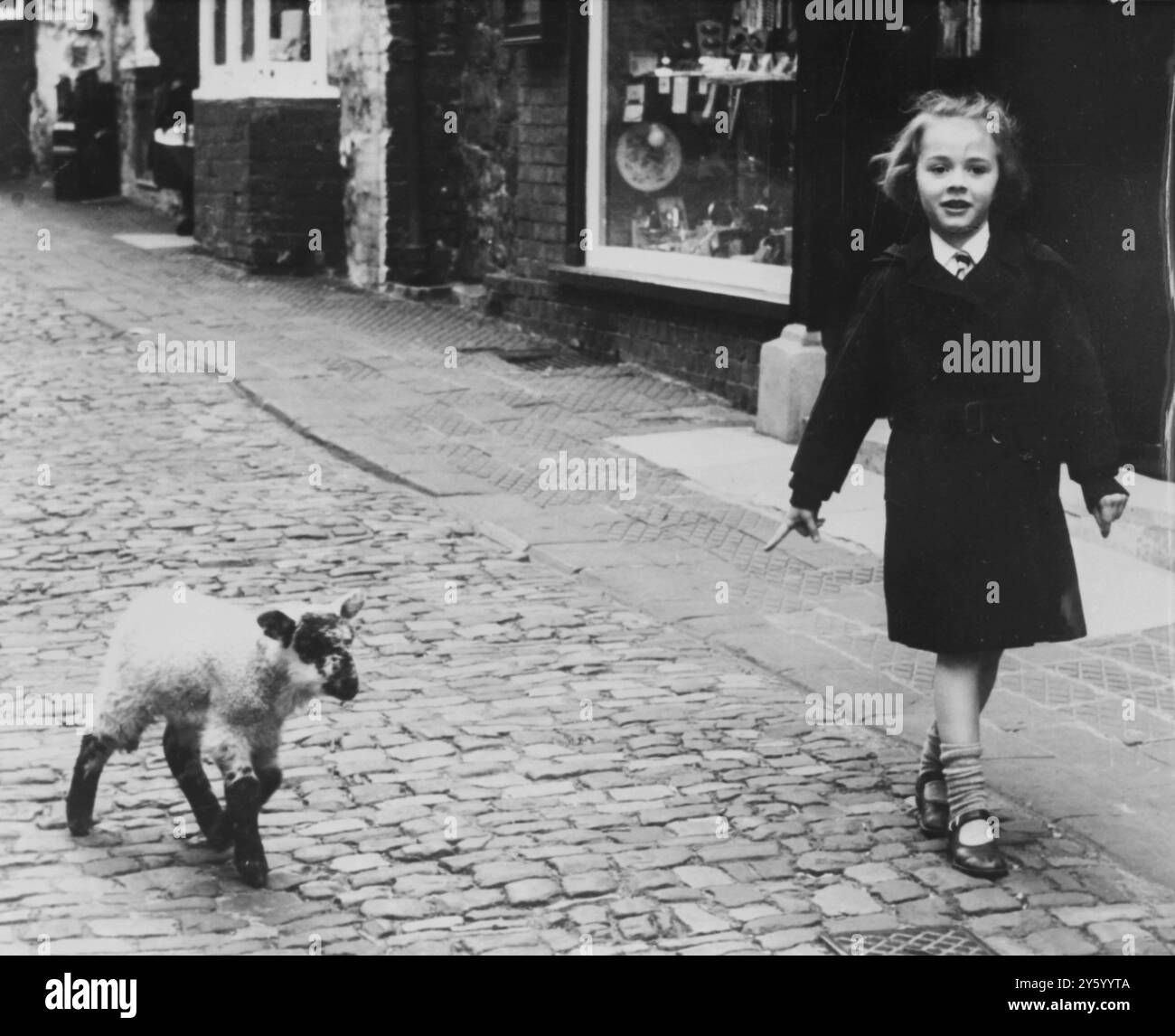 CORANNE DE CARTIER WITH A PET LAMB / 7 APRIL 1961 Stock Photo - Alamy