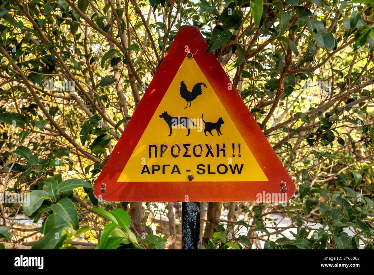 Karystos, September 2024: Road sign warning drivers to slow down for ...