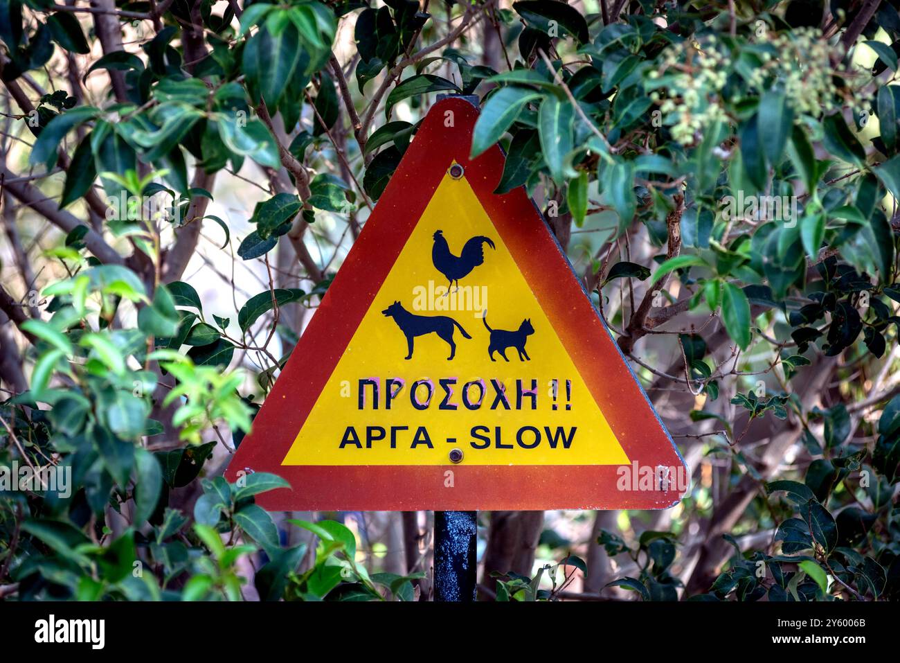Karystos, September 2024: Road sign warning drivers to slow down for ...