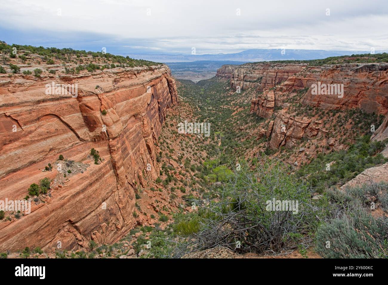 View down Red Canyon from rim of Colorado National Monument Stock Photo ...