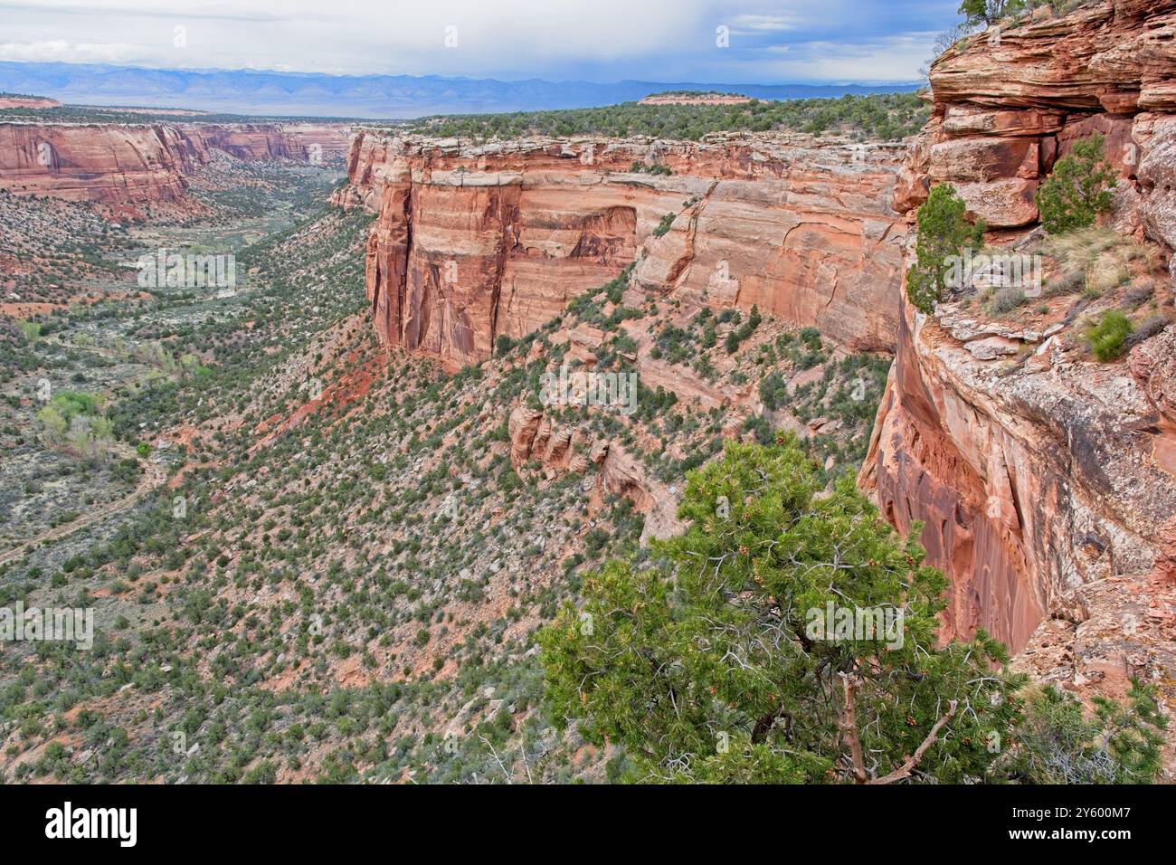 Rugged sandstone cliffs and spires line green Ute canyon slopes in ...