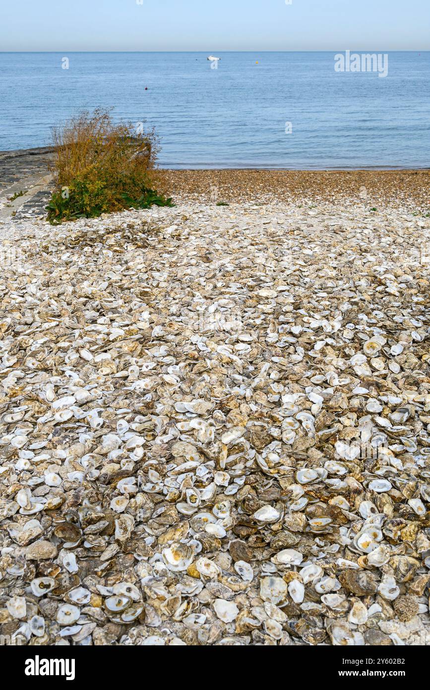 Whitstable, Kent, England, UK. Huge pile of empty oyster shells on the ...