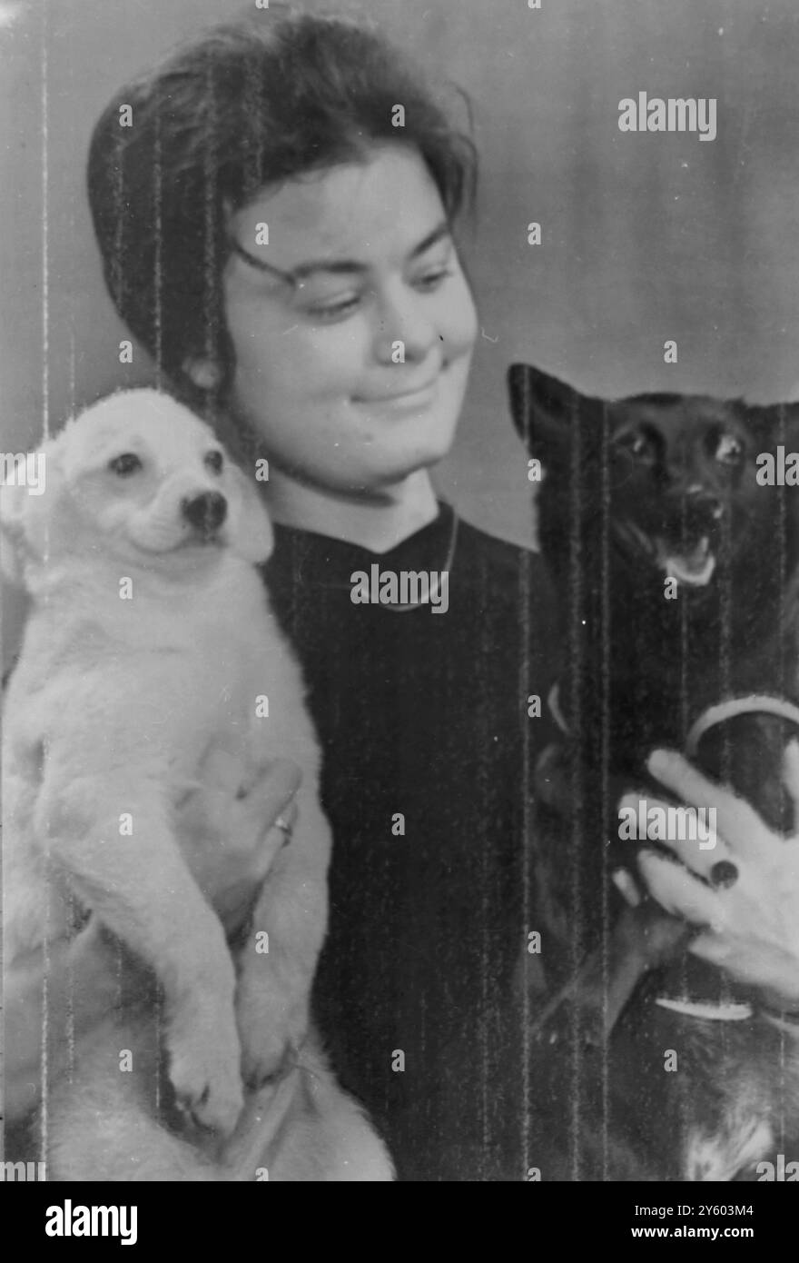 SPACE TRAVEL CHERNUSKA SPACE DOG & PUPPY TISKA 13 MARCH 1961 Stock ...
