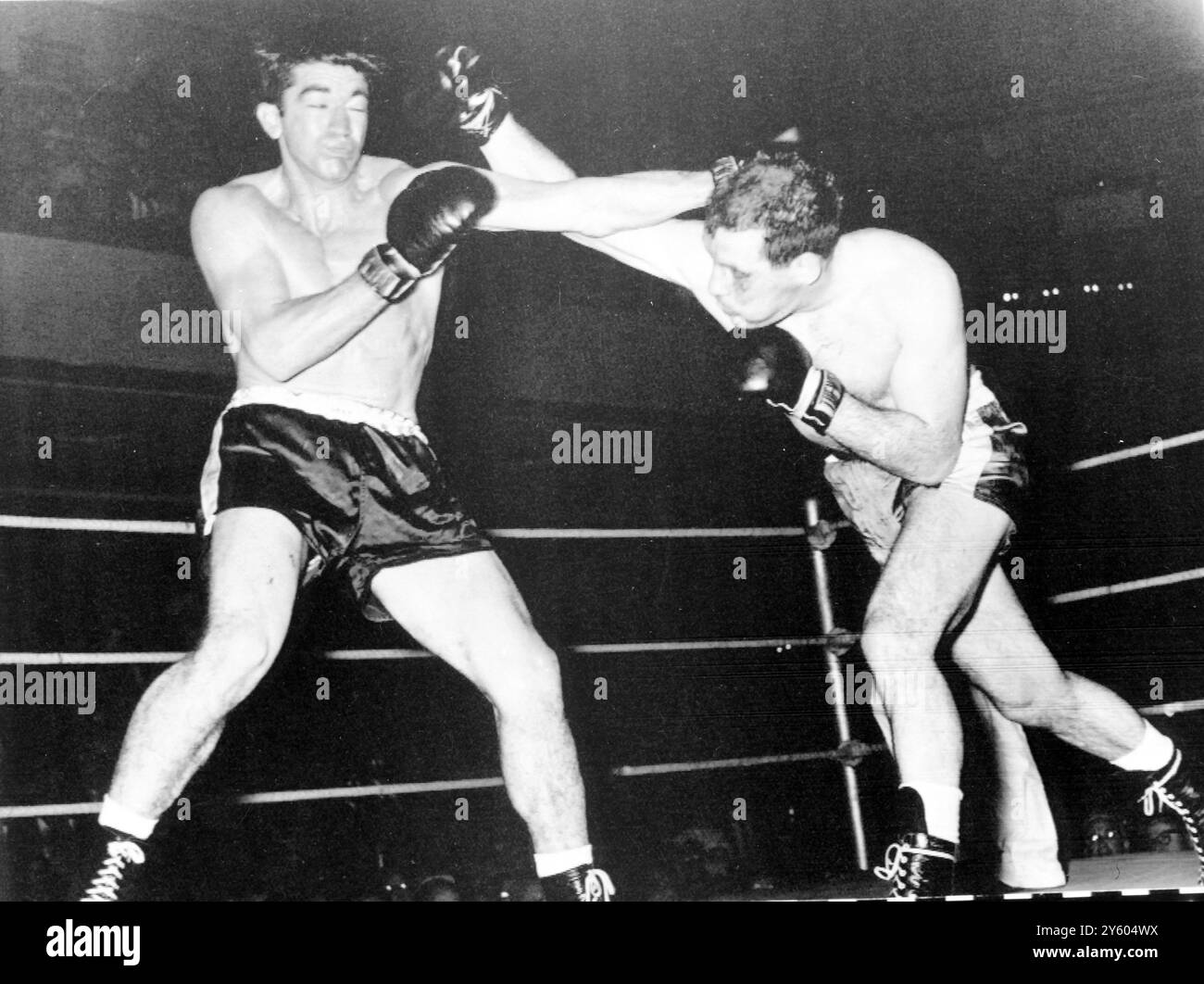 Boxer harris hi-res stock photography and images - Alamy