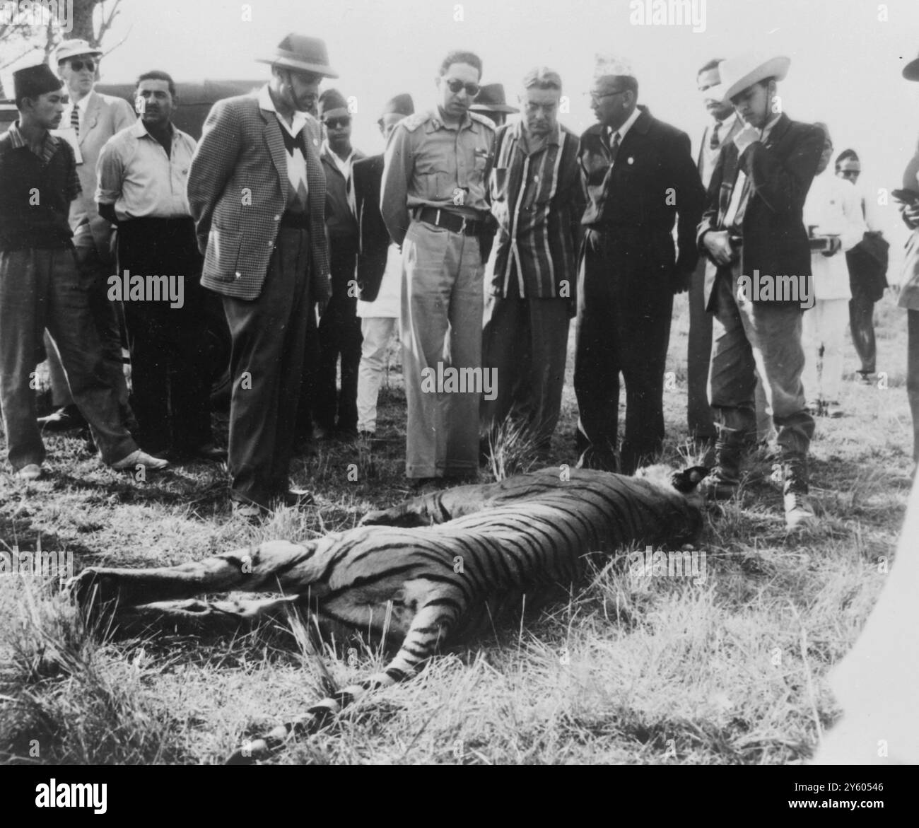 MAHENDRA KING LOOKS AT DEAD TIGER 2 MARCH 1961 Stock Photo - Alamy