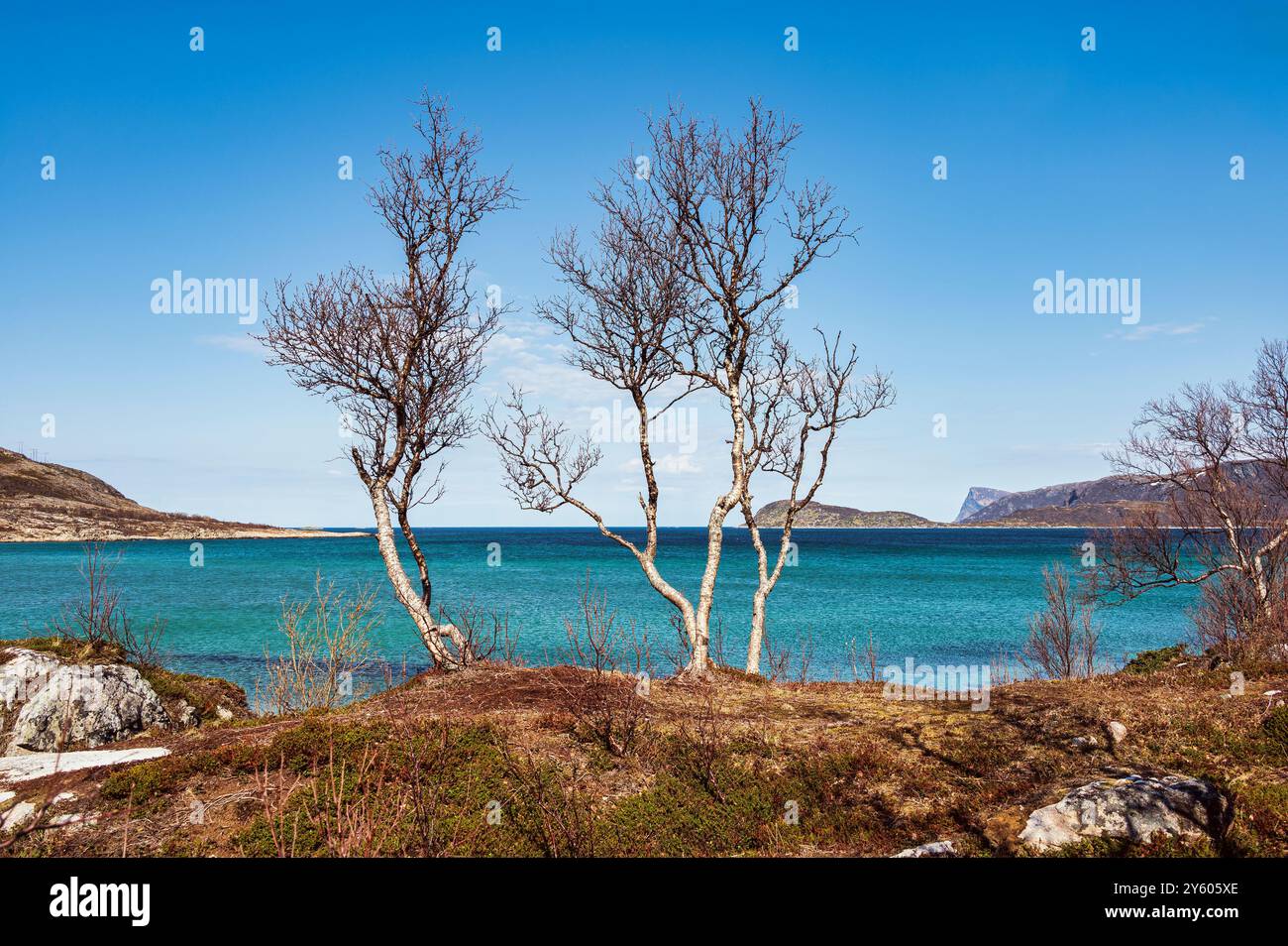 nature sceneries inside the island of Sommaroy, Tromso municipality ...