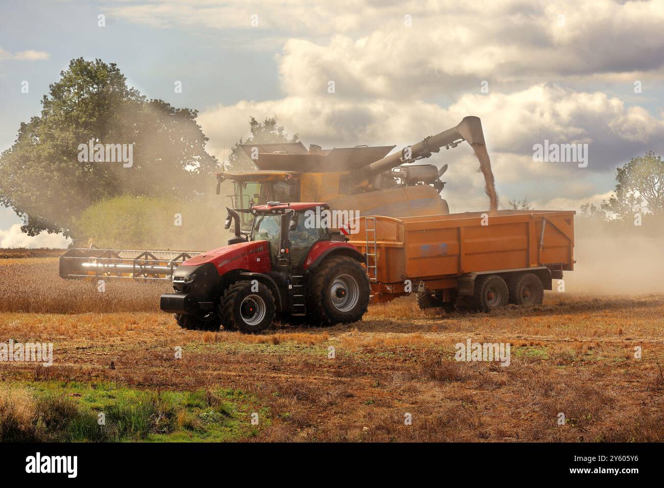 Combine Harvester cutting Wheat in a field in rural england Stock Photo ...