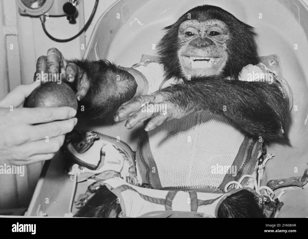 Ham the chimp first in space hi-res stock photography and images - Alamy