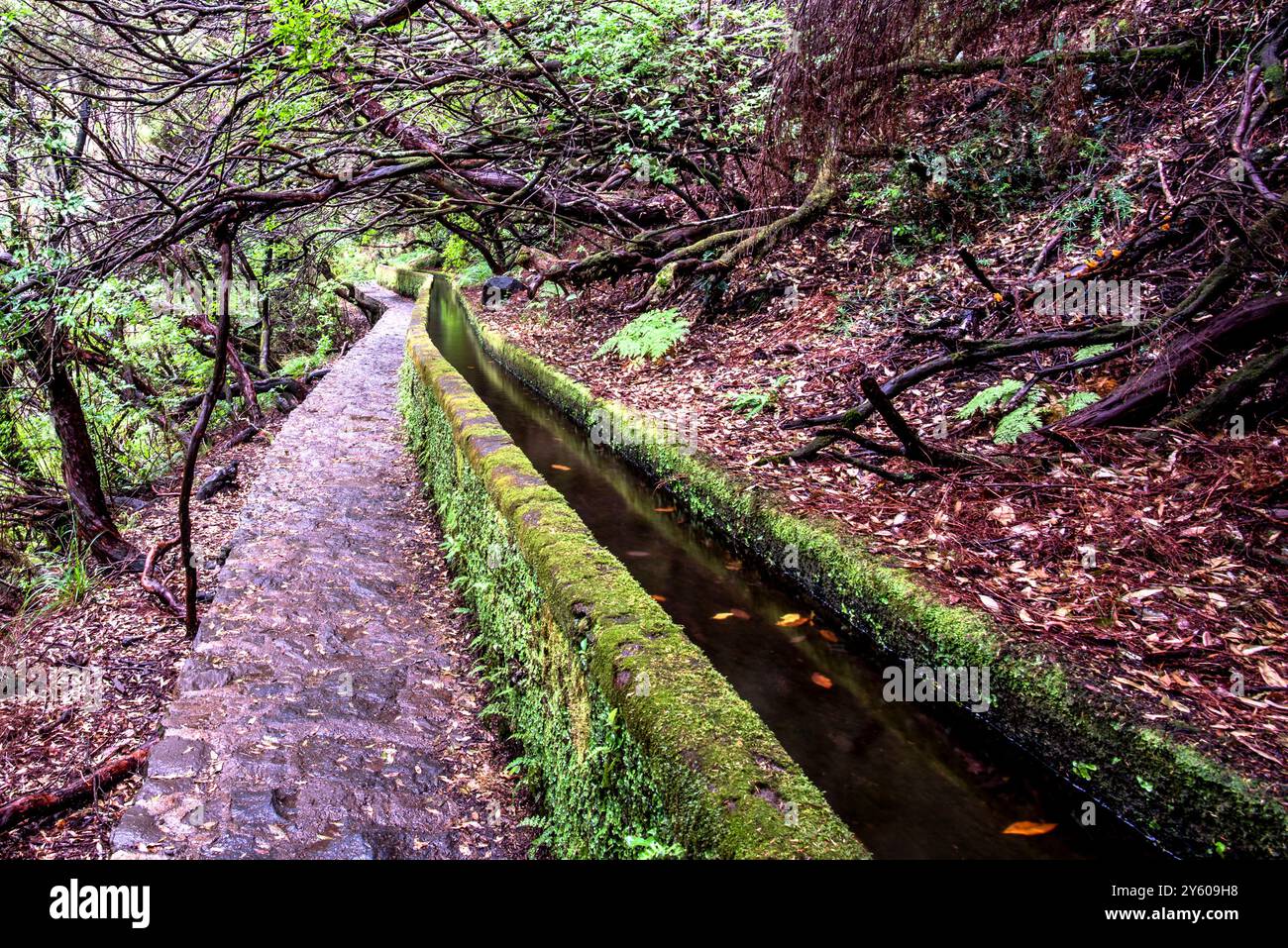 The 25 Fontes levada in Calheta in Rabaçal with cascade and fountain ...