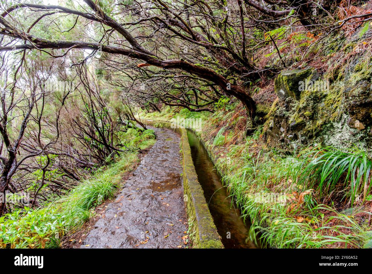 The 25 Fontes levada in Calheta in Rabaçal with cascade and fountain ...