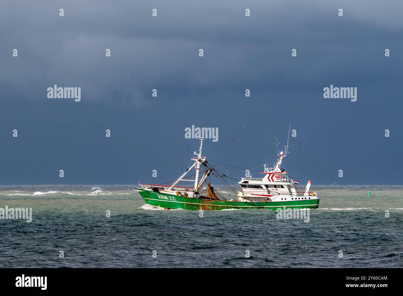 Dutch trawler Klaas Adriana ARM-22 bottom trawling and electric pulse ...
