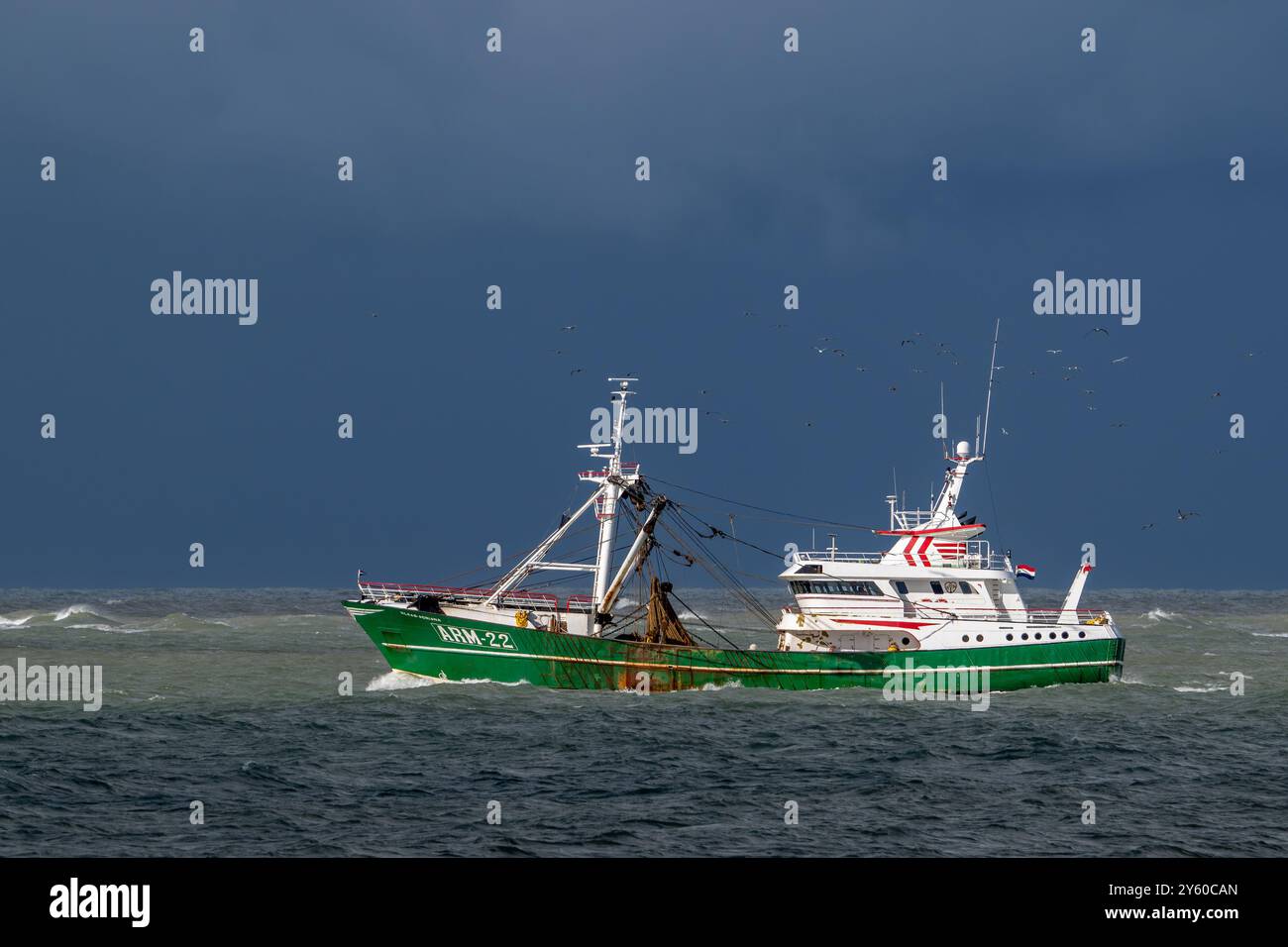 Dutch trawler Klaas Adriana ARM-22 bottom trawling and electric pulse ...
