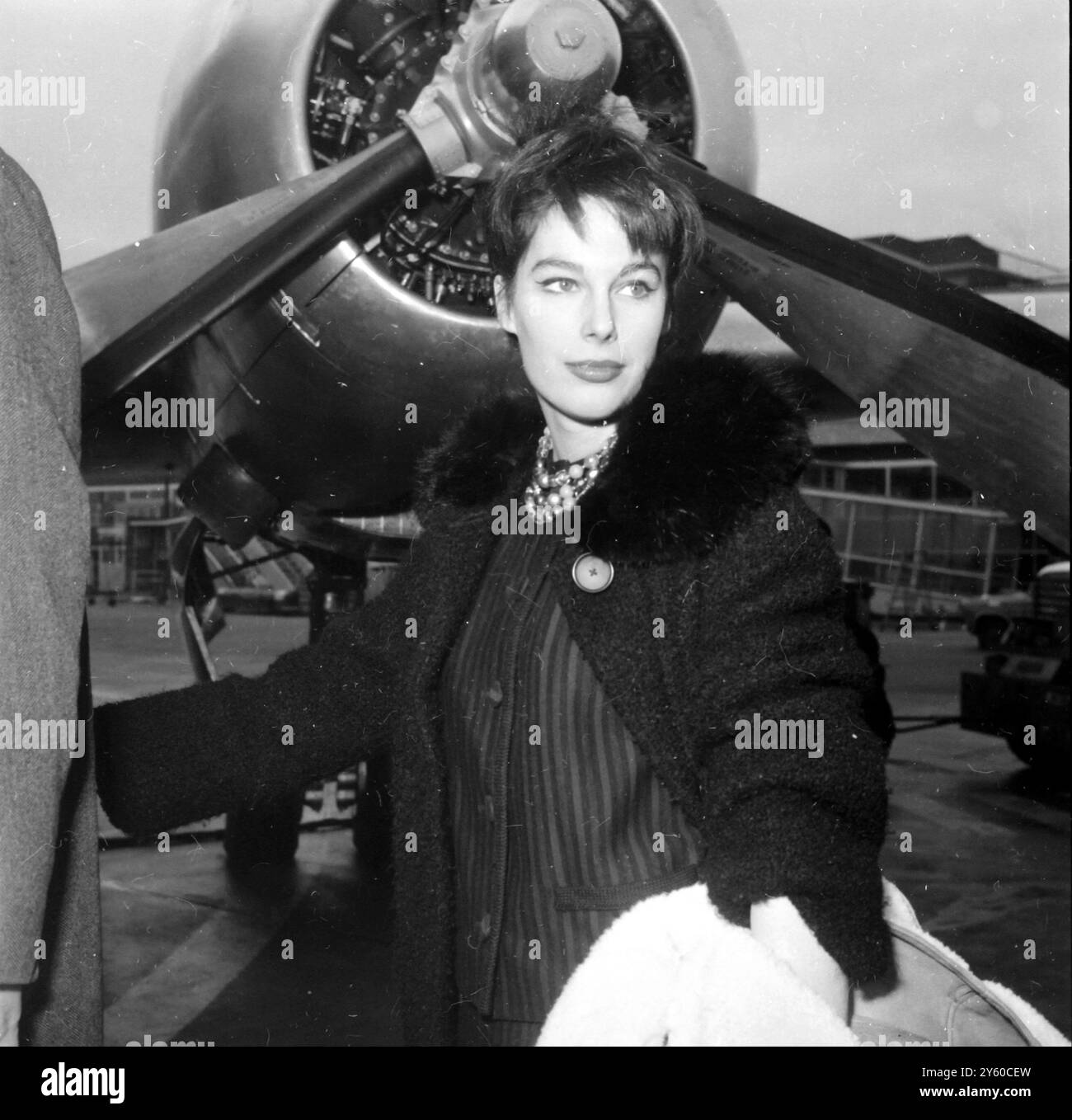 Tracy reed hi-res stock photography and images - Alamy