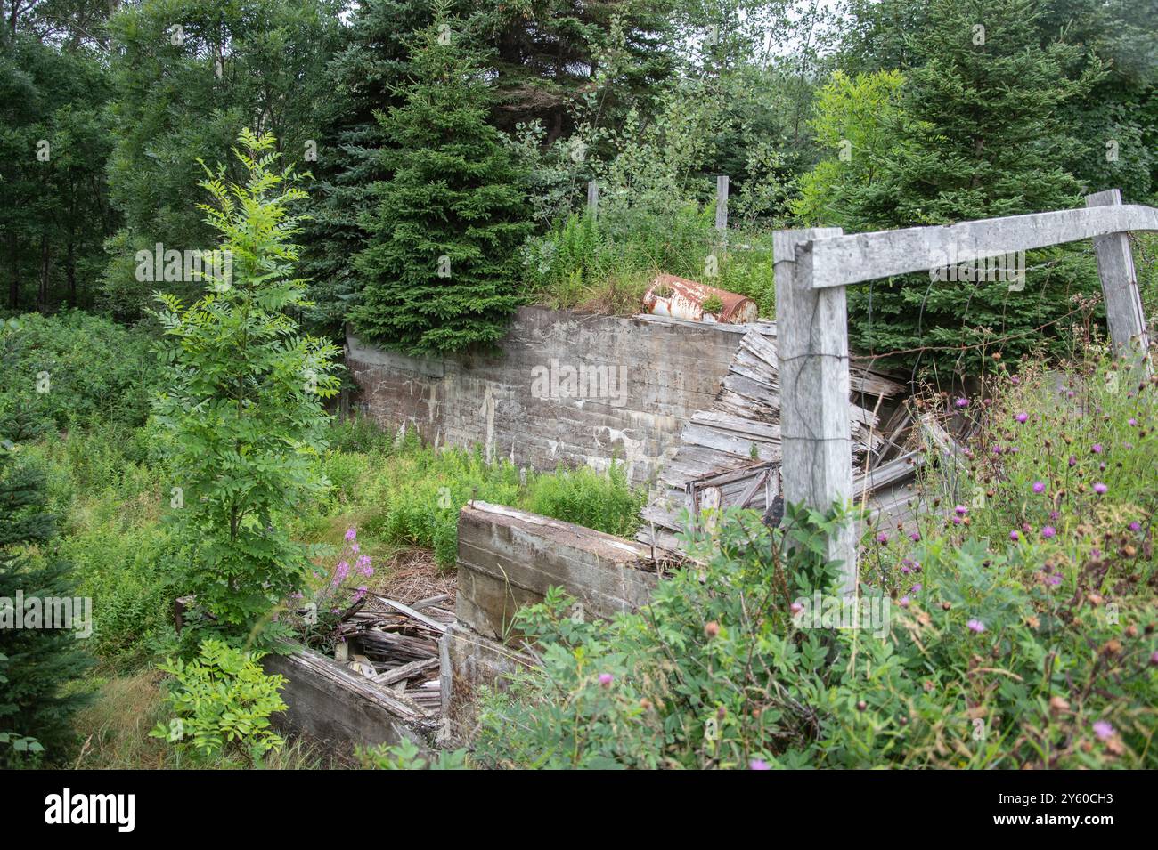 Remains of house stone foundation on Conception Bay highway in ...