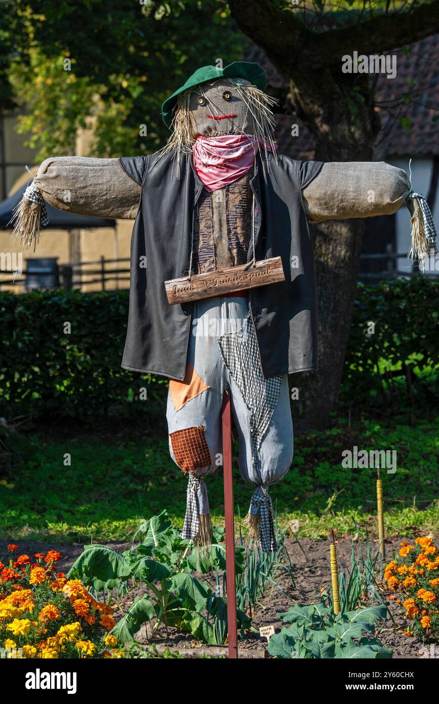 Humanoid scarecrow / bird scarer dressed in old clothes and placed in ...