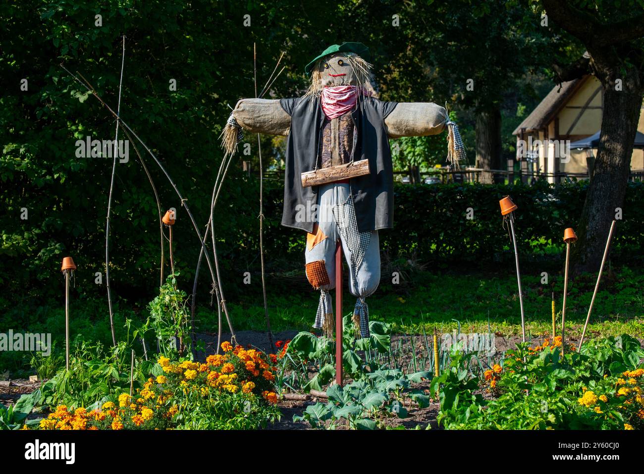 Humanoid scarecrow / bird scarer dressed in old clothes and placed in ...