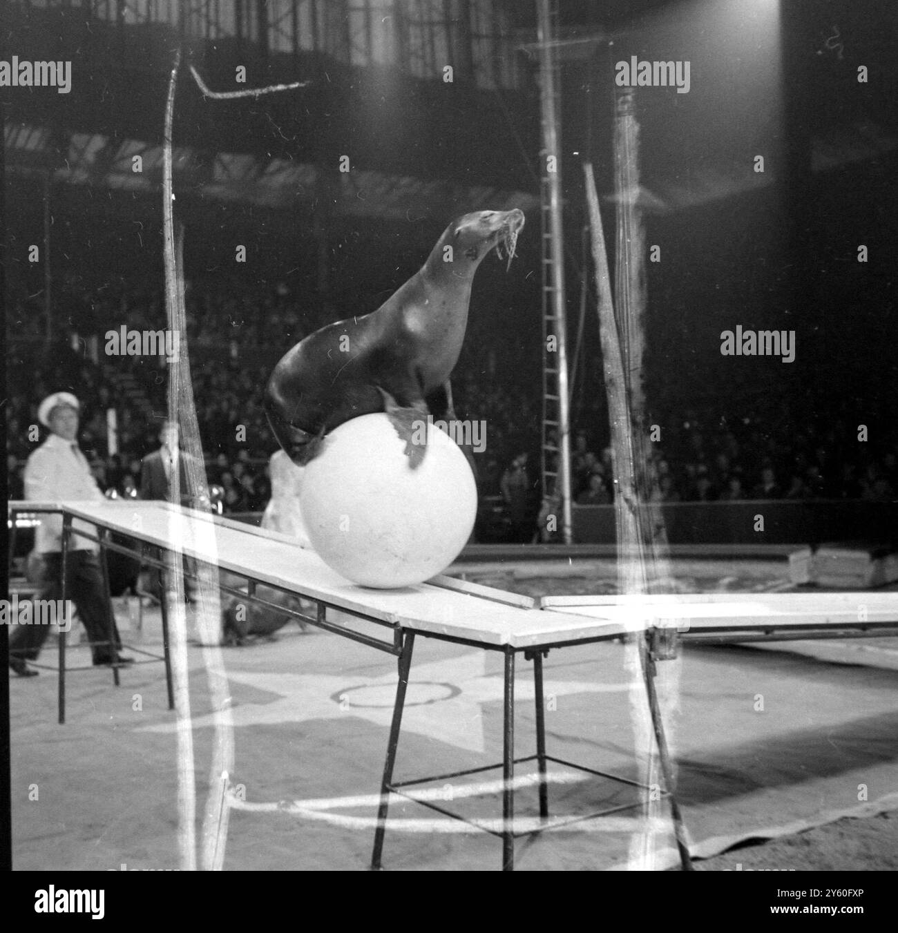 CIRCUS PERFORMANCE AT LONDON'S OLYMPIA - MILLS CIRCUS 19 DECEMBER 1960 ...