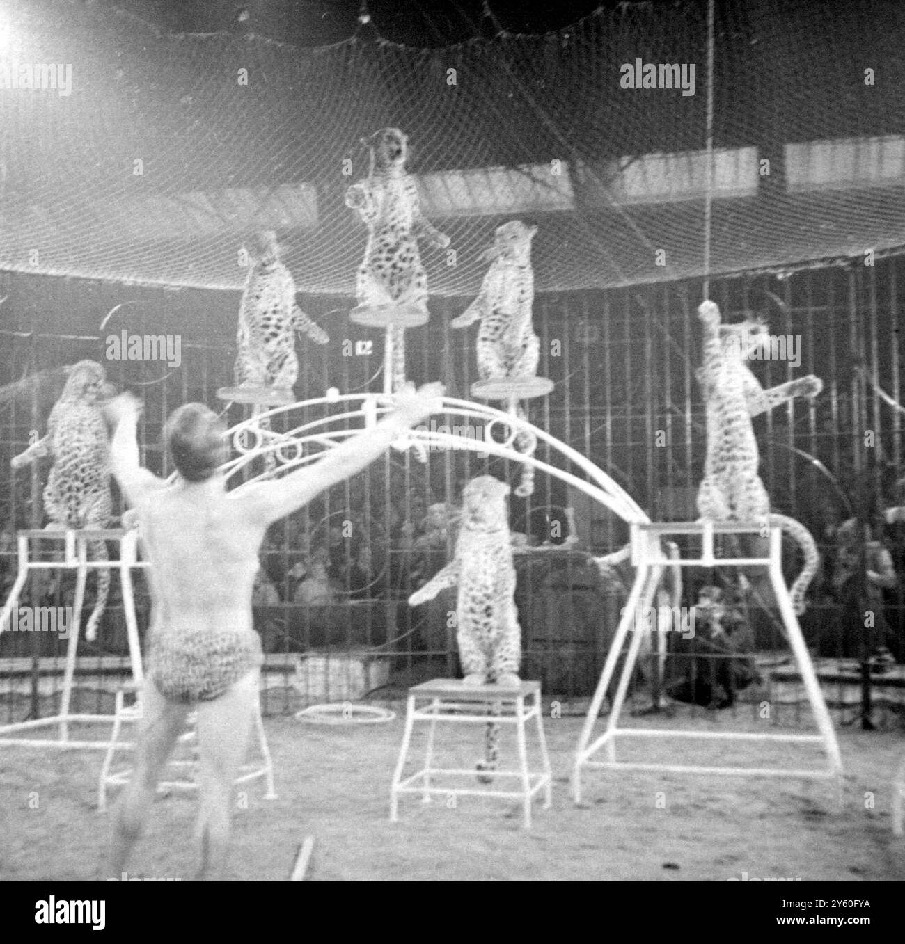 CIRCUS PERFORMANCE AT LONDON'S OLYMPIA - MILLS CIRCUS 19 DECEMBER 1960 ...