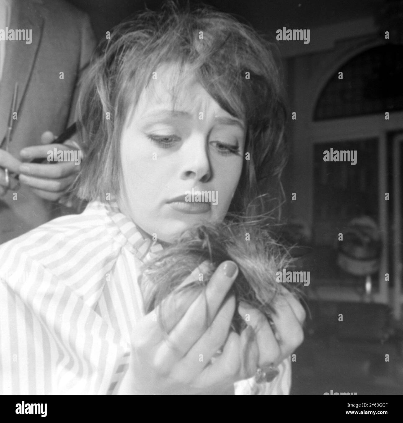 BRUCE JUDY BITES FINGERS / 14 DECEMBER 1960 Stock Photo - Alamy
