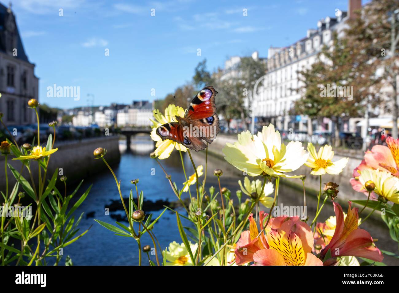River Odet Quimper Stock Photo - Alamy