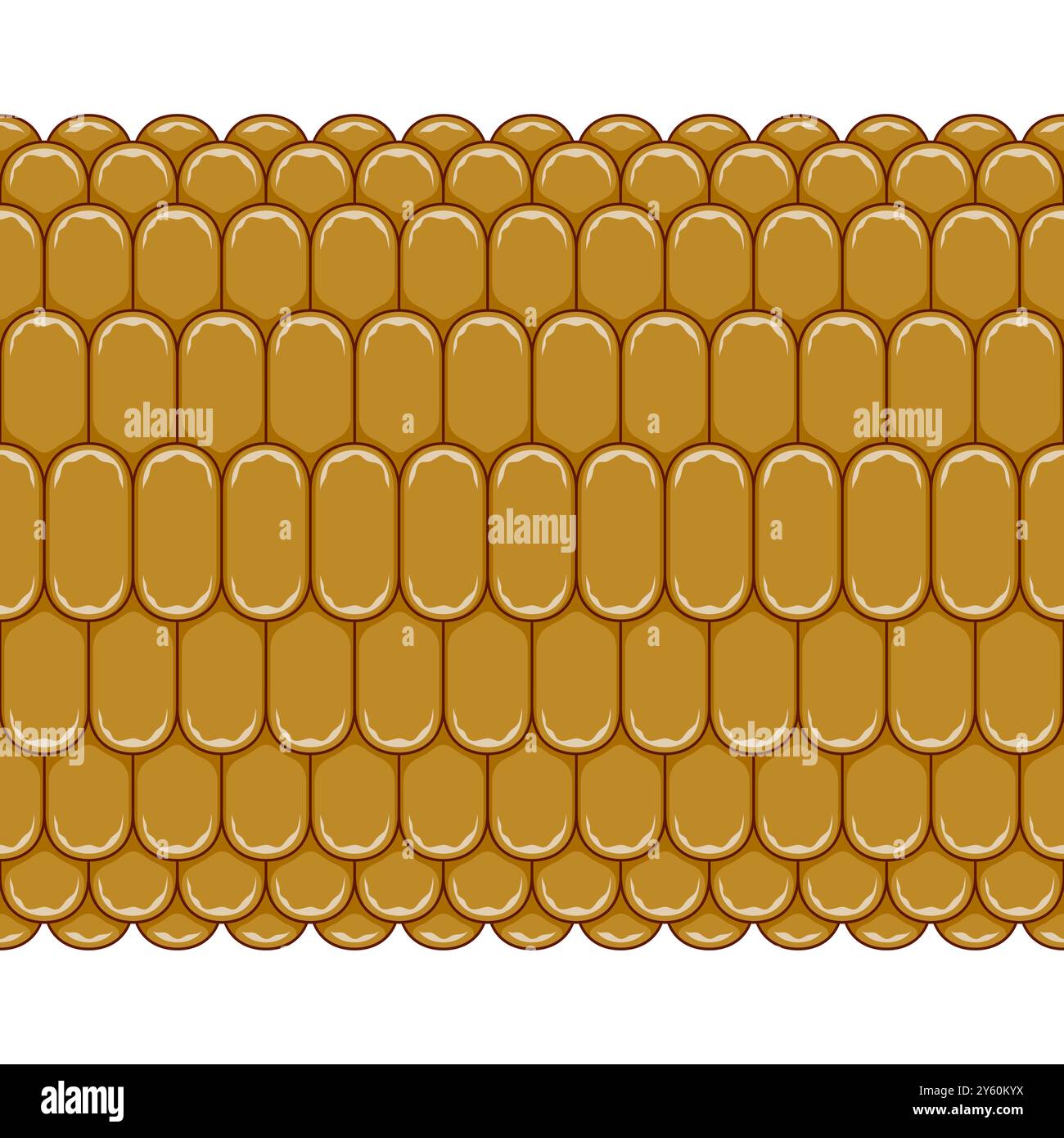 Horizontal seamless pattern with corn cob texture, maize. Color vector ...