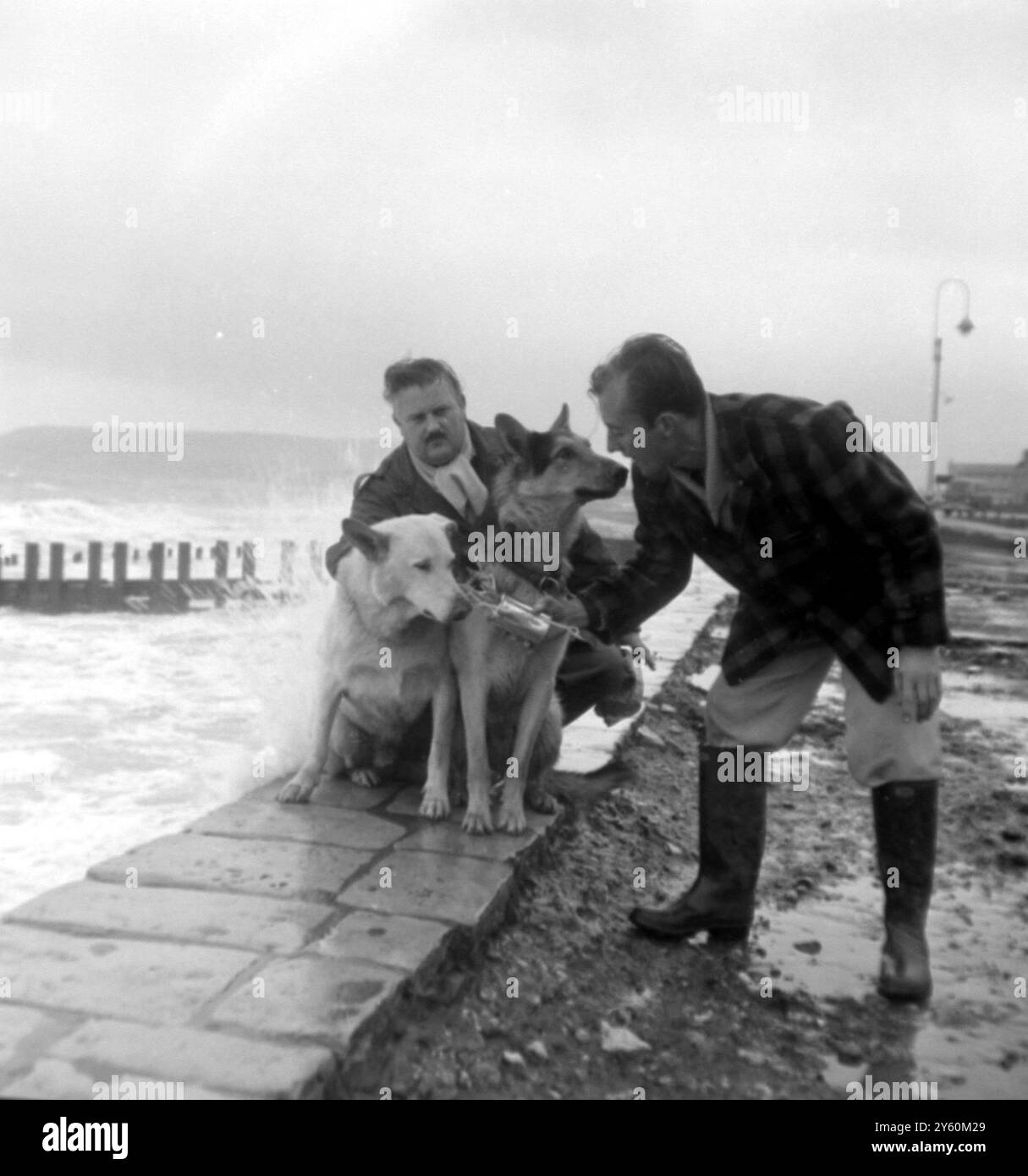 Mr Ronald Bateman, 40 year old Isle of Wight zoo owner is training two ...