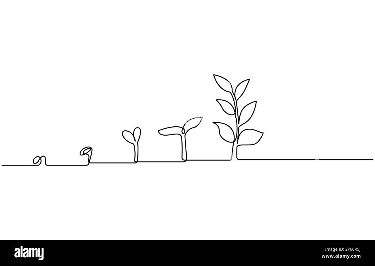 One line plant growth Black and White Stock Photos & Images - Alamy