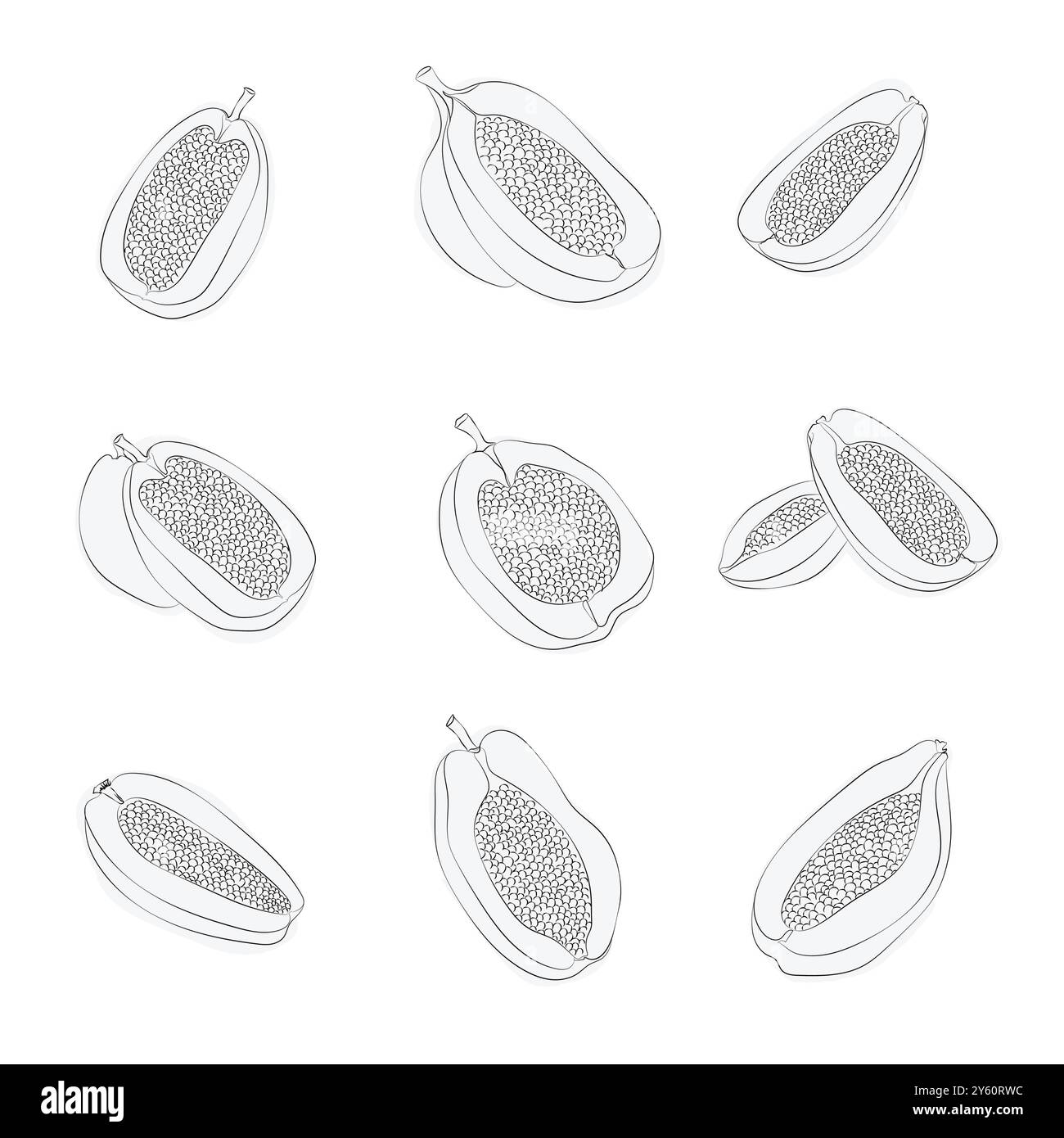 Set of black and white exotic fruits isolated. Vector outline ...
