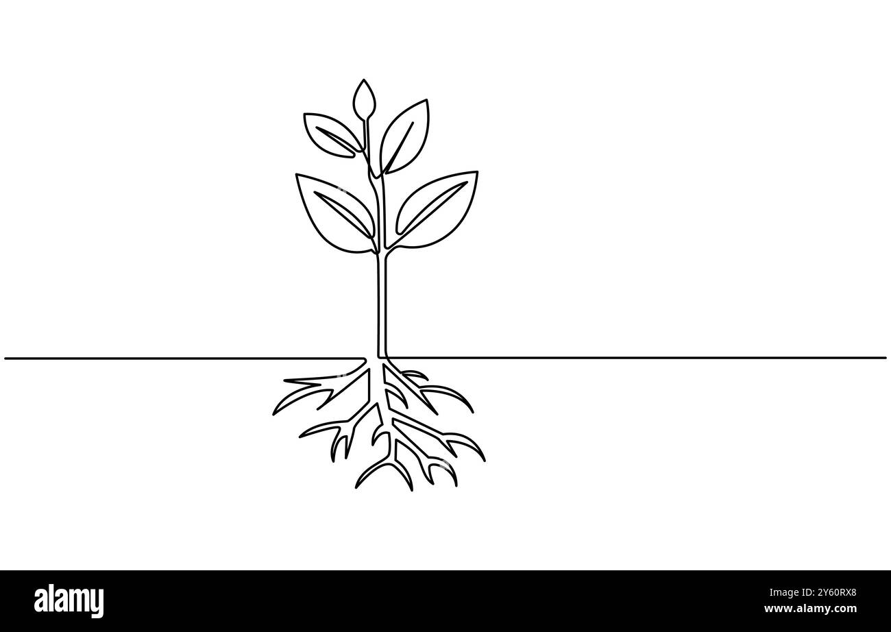 Continuous one line plant growth tree outline vector art Stock Vector ...