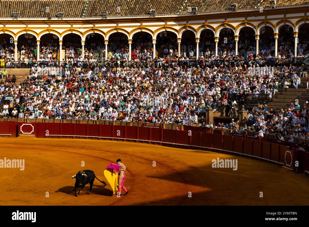 Traditional bullfighting his held at Plaza de Toros in Seville, Spain ...