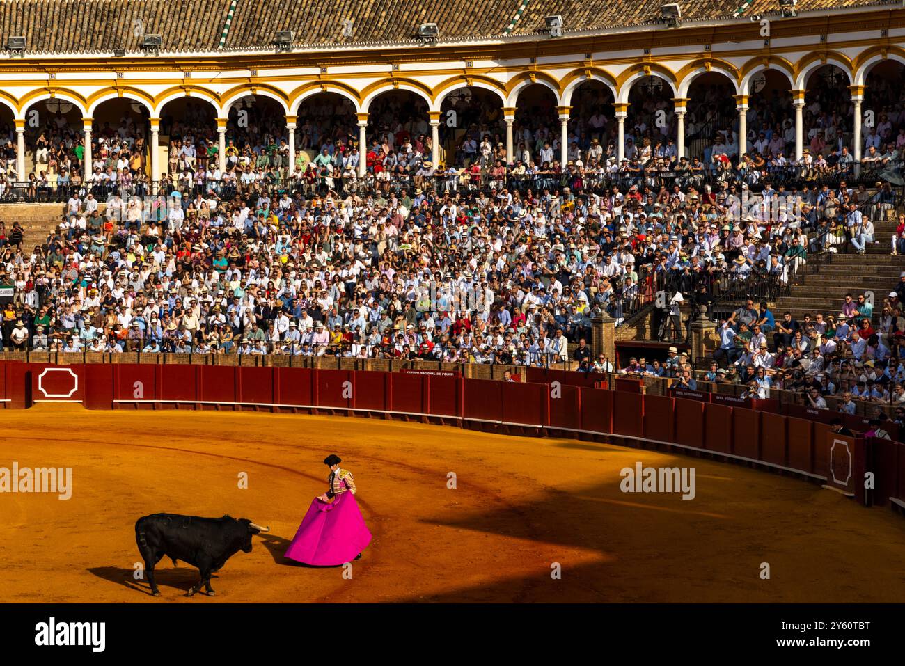 Traditional bullfighting his held at Plaza de Toros in Seville, Spain ...
