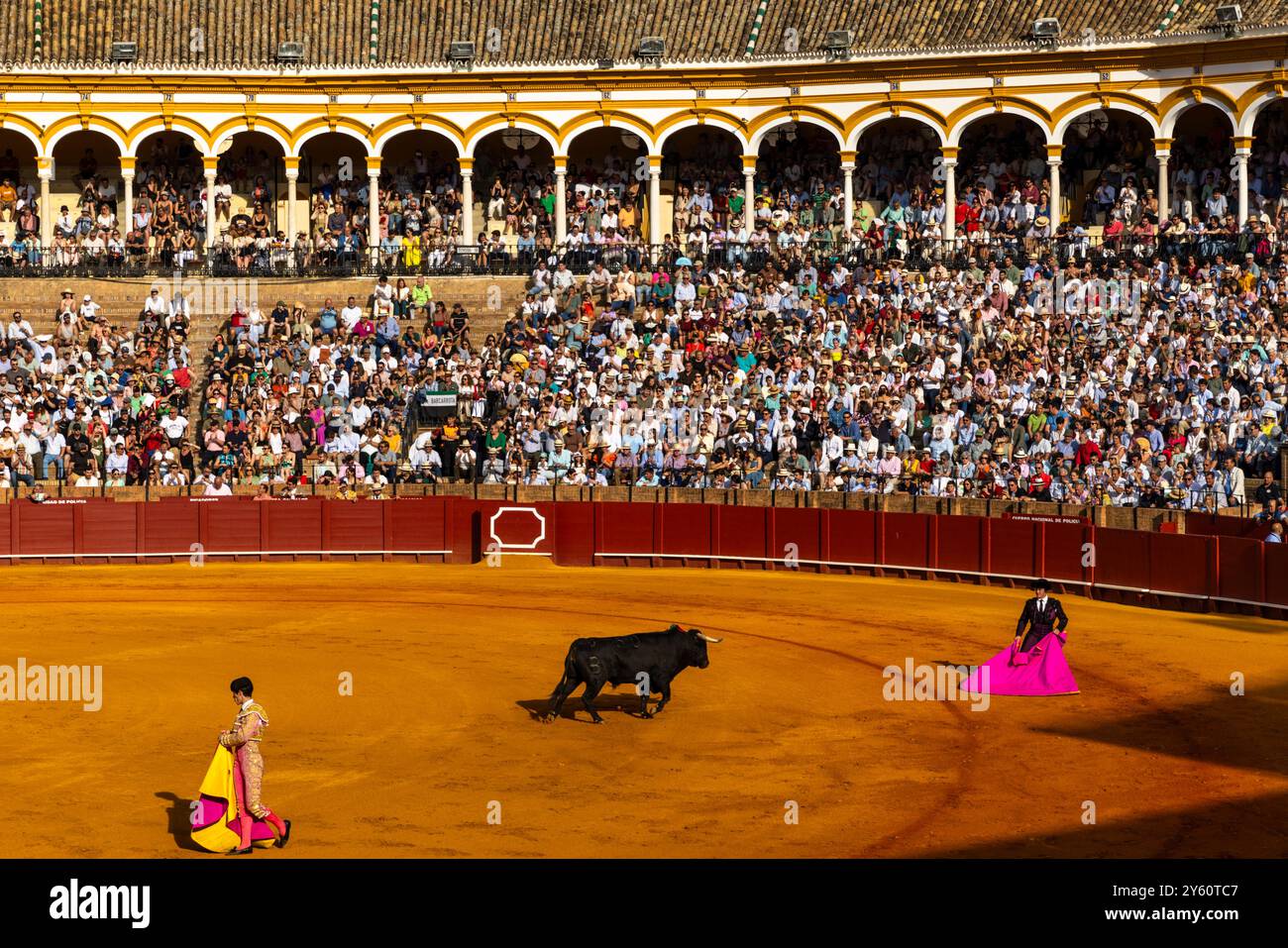 Traditional bullfighting his held at Plaza de Toros in Seville, Spain ...
