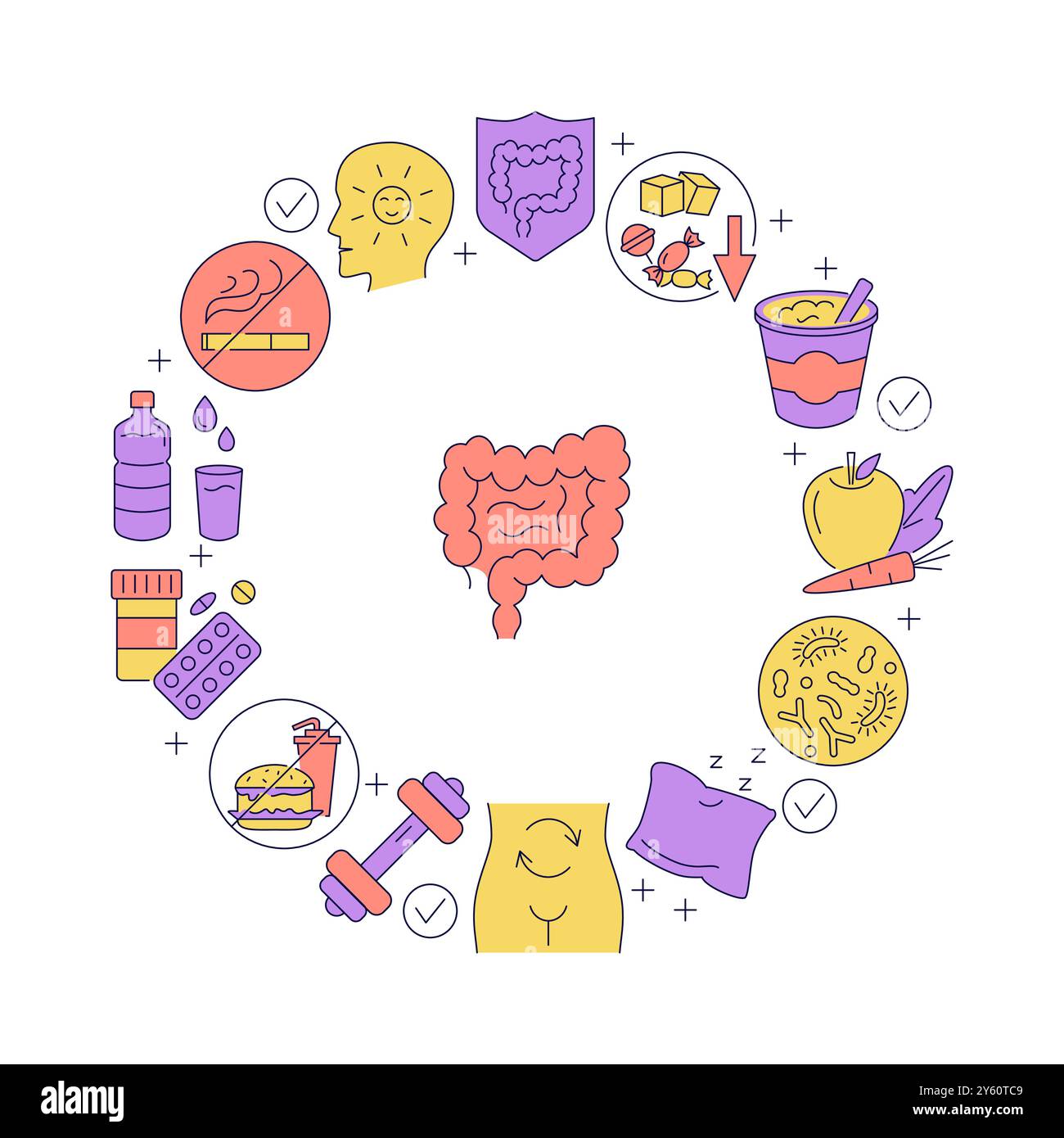 Healthy digestive system round poster. Gut health, good digestion ...
