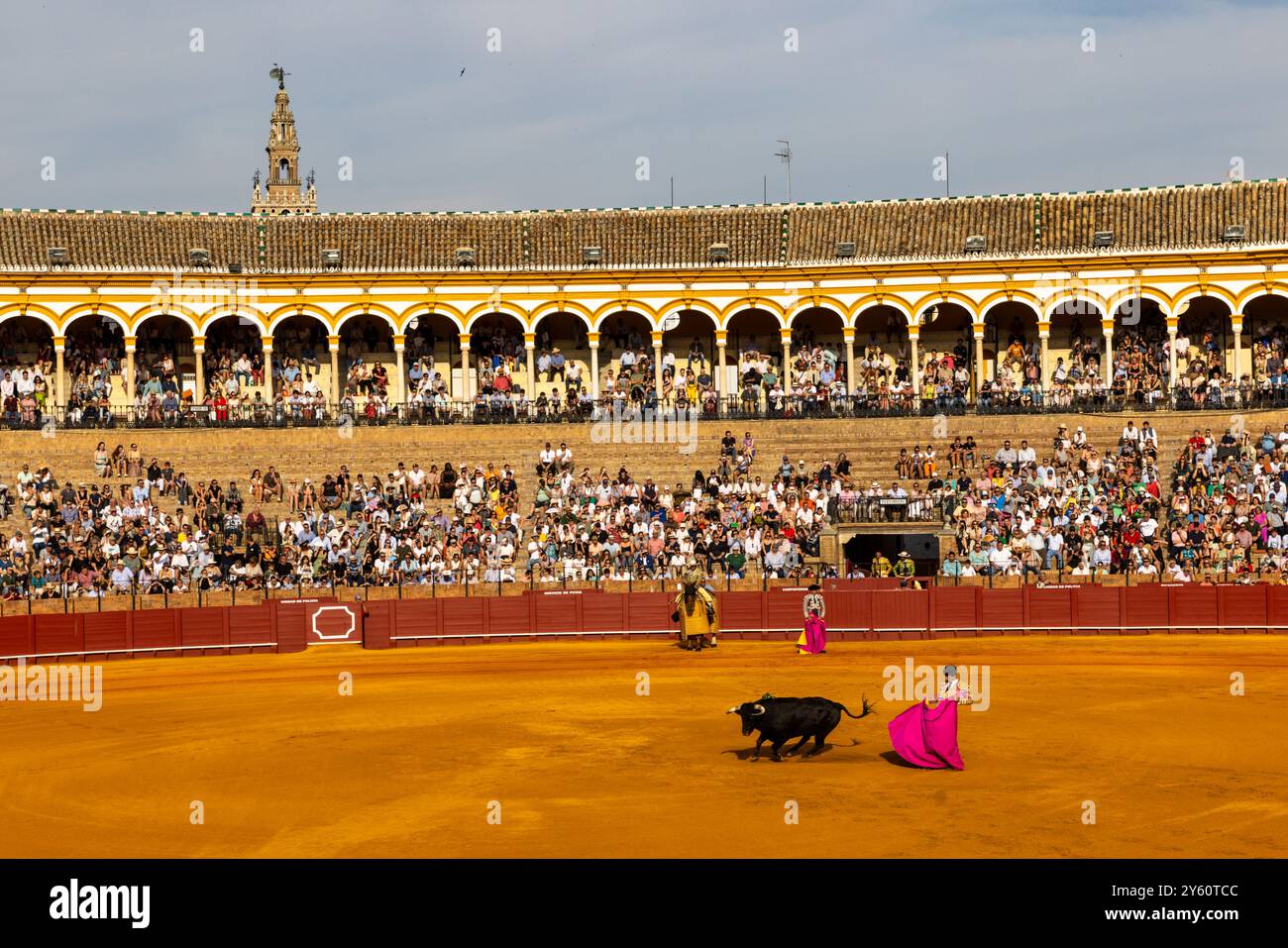 Traditional bullfighting his held at Plaza de Toros in Seville, Spain ...