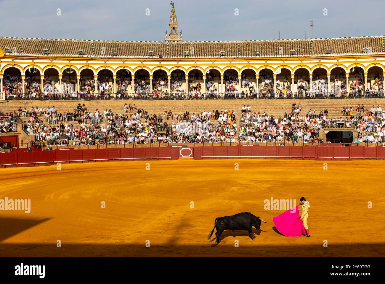 Traditional bullfighting his held at Plaza de Toros in Seville, Spain ...