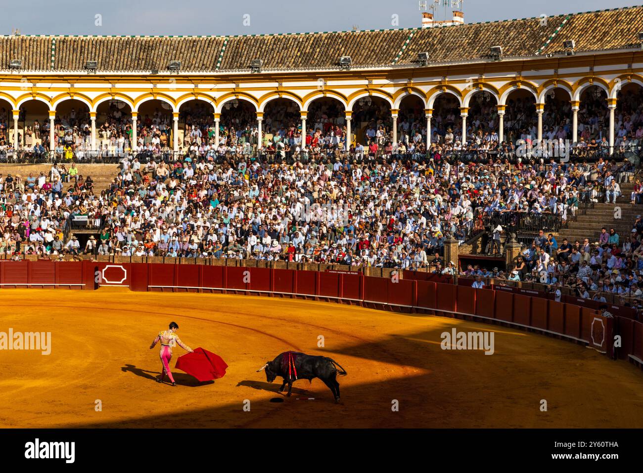 Traditional bullfighting his held at Plaza de Toros in Seville, Spain ...