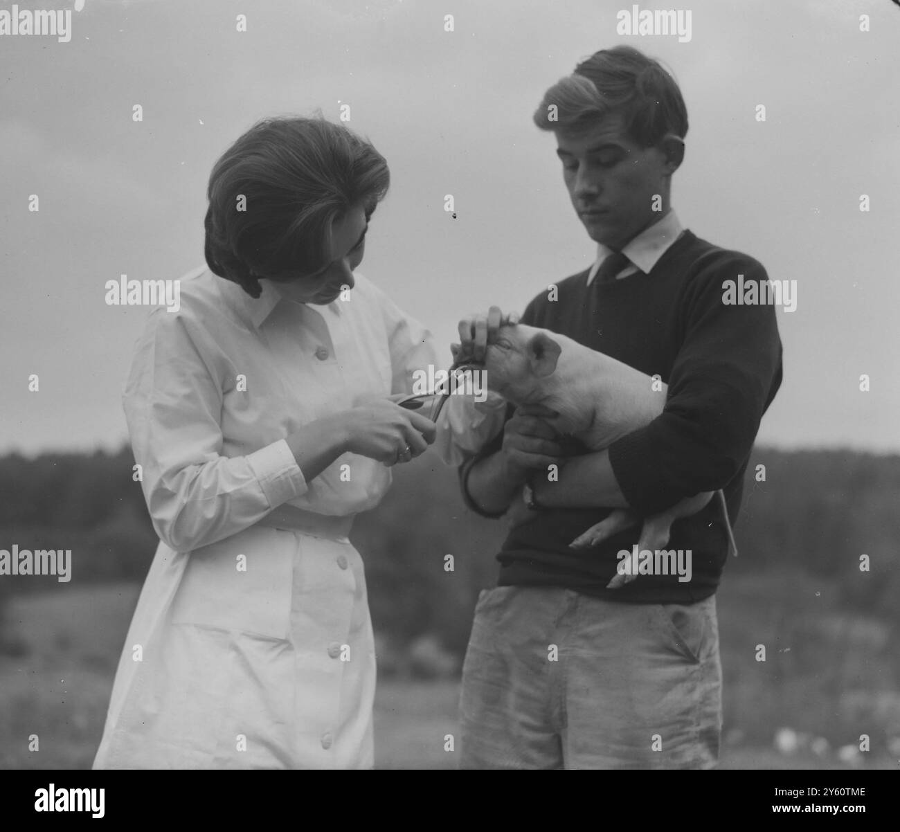 Ruth hampton hi-res stock photography and images - Alamy