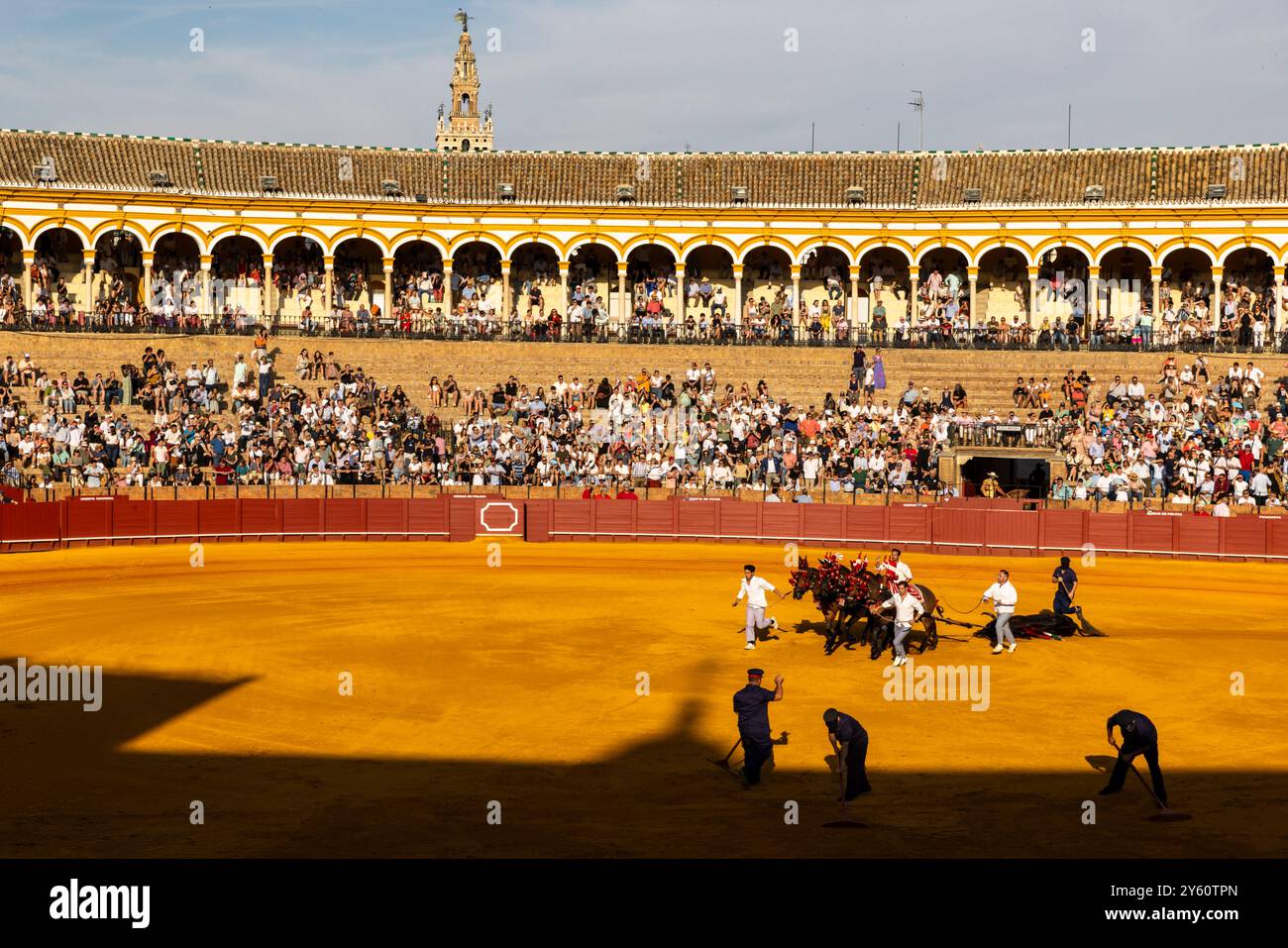Traditional bullfighting his held at Plaza de Toros in Seville, Spain ...