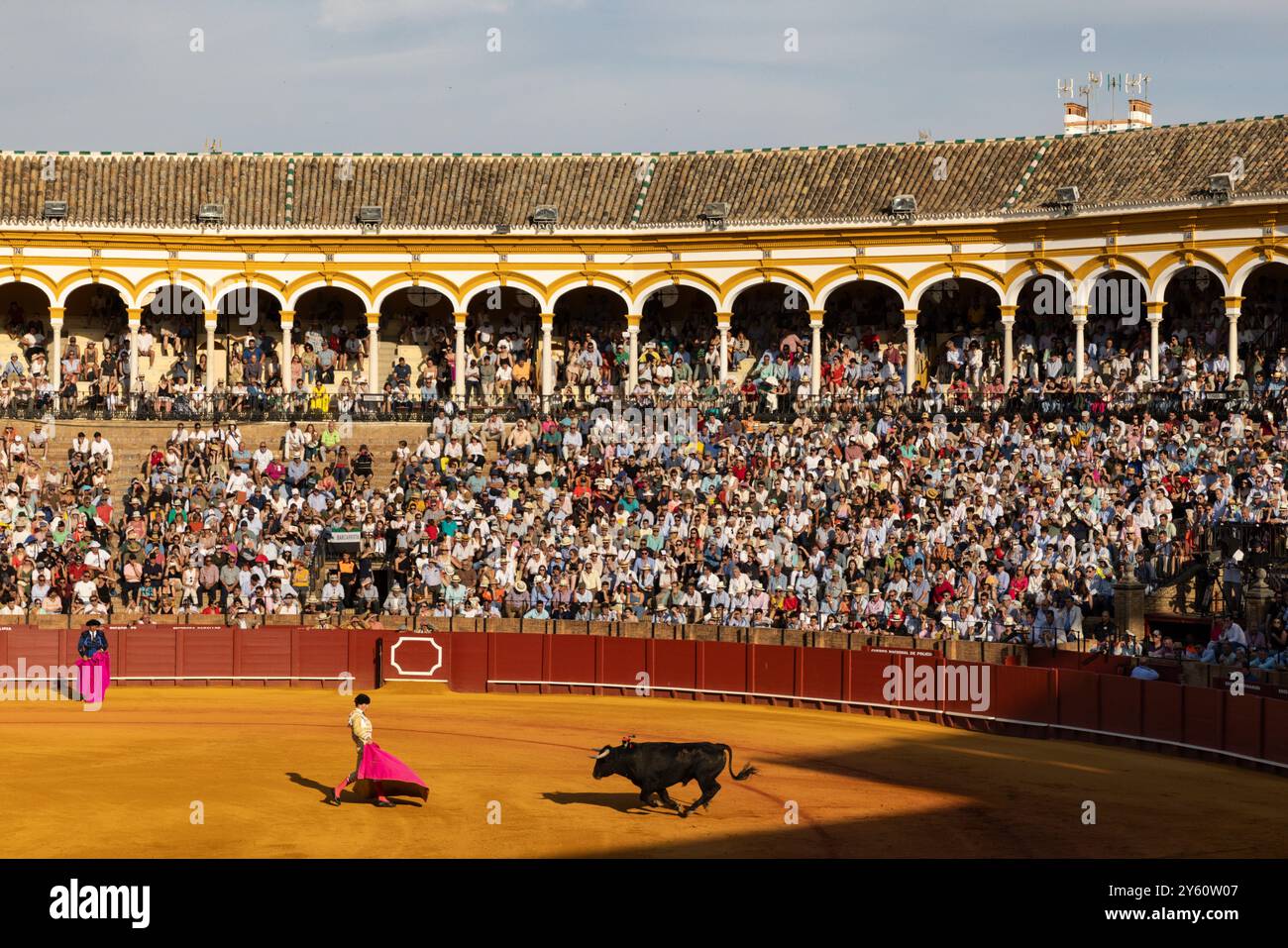Traditional bullfighting his held at Plaza de Toros in Seville, Spain ...