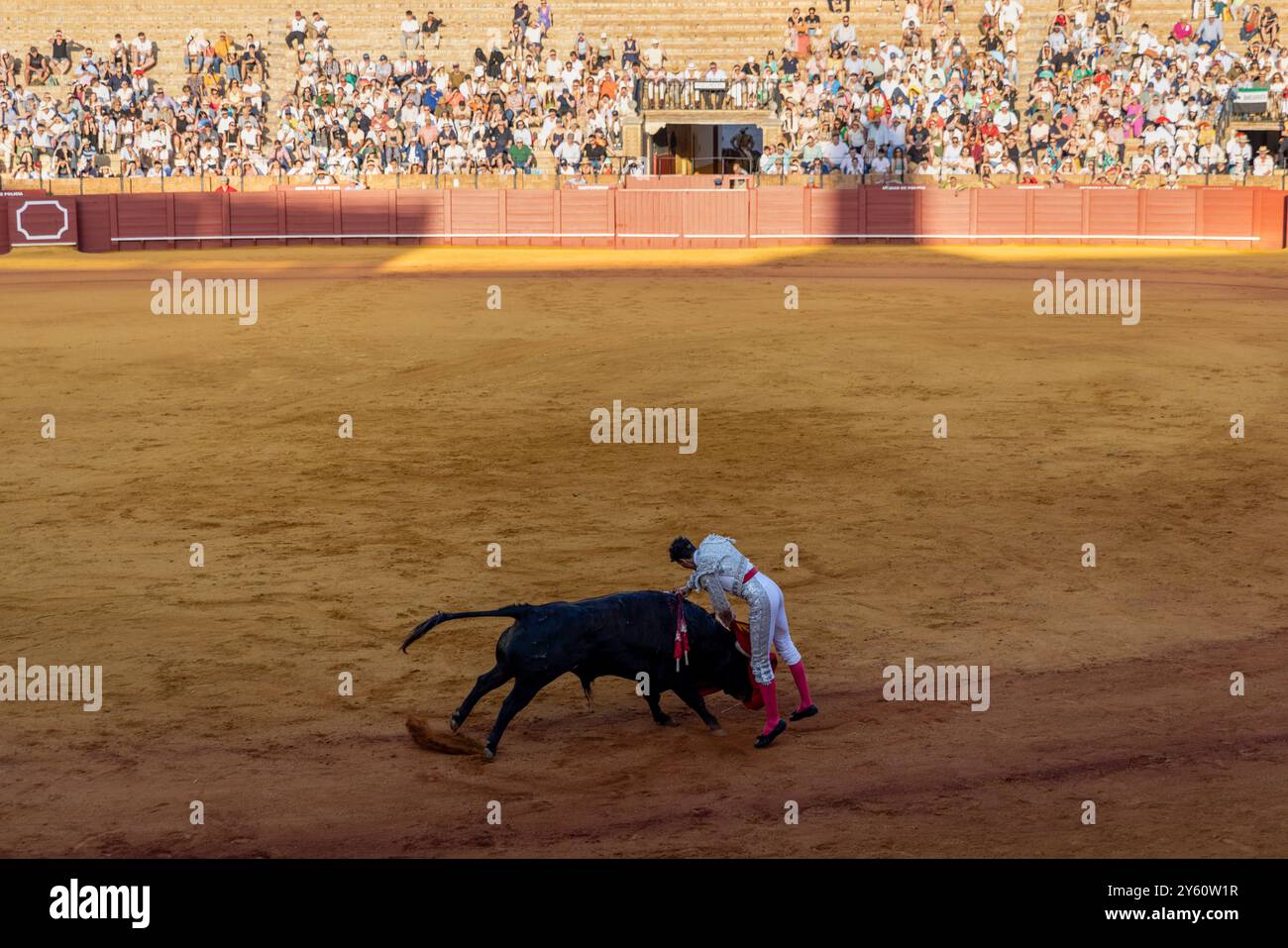 Traditional bullfighting his held at Plaza de Toros in Seville, Spain ...