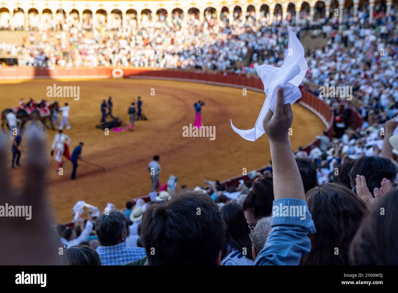Traditional bullfighting his held at Plaza de Toros in Seville, Spain ...