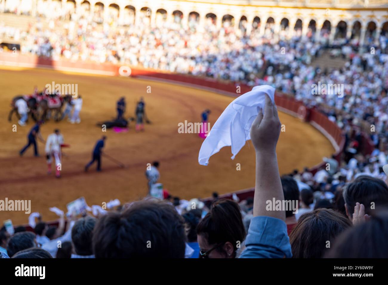 Traditional bullfighting his held at Plaza de Toros in Seville, Spain ...