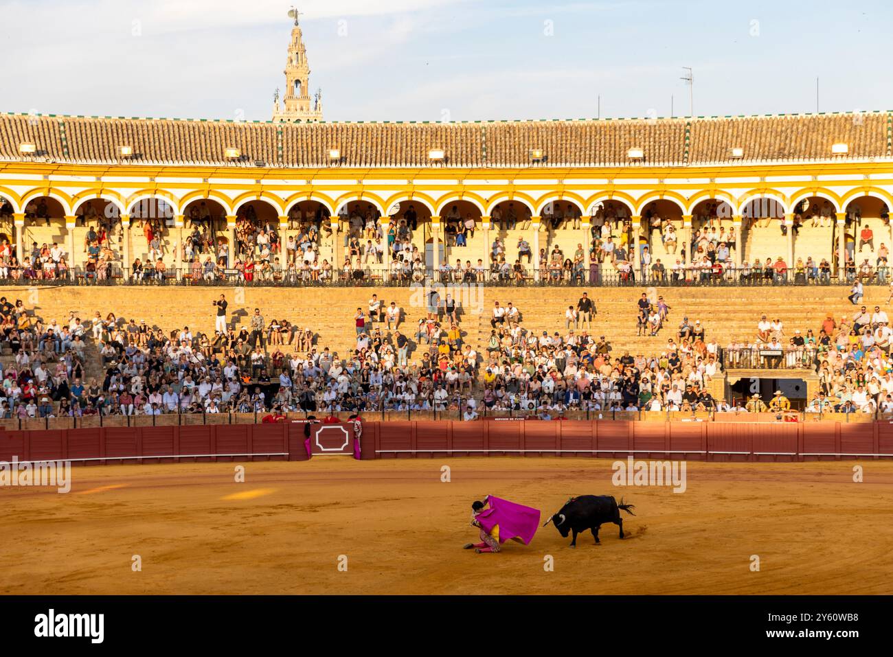 Traditional bullfighting his held at Plaza de Toros in Seville, Spain ...